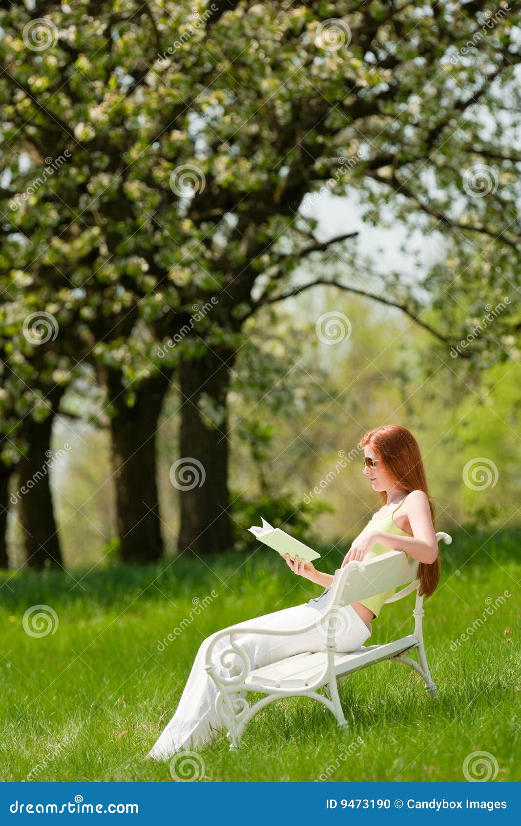 Woman Relax Under Blossom Tree in Summer Stock Photo - Image of ...