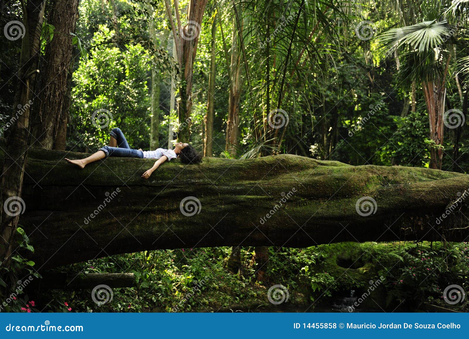 Woman Relaxing in a Tropical Forest Stock Photo - Image of daydreaming ...