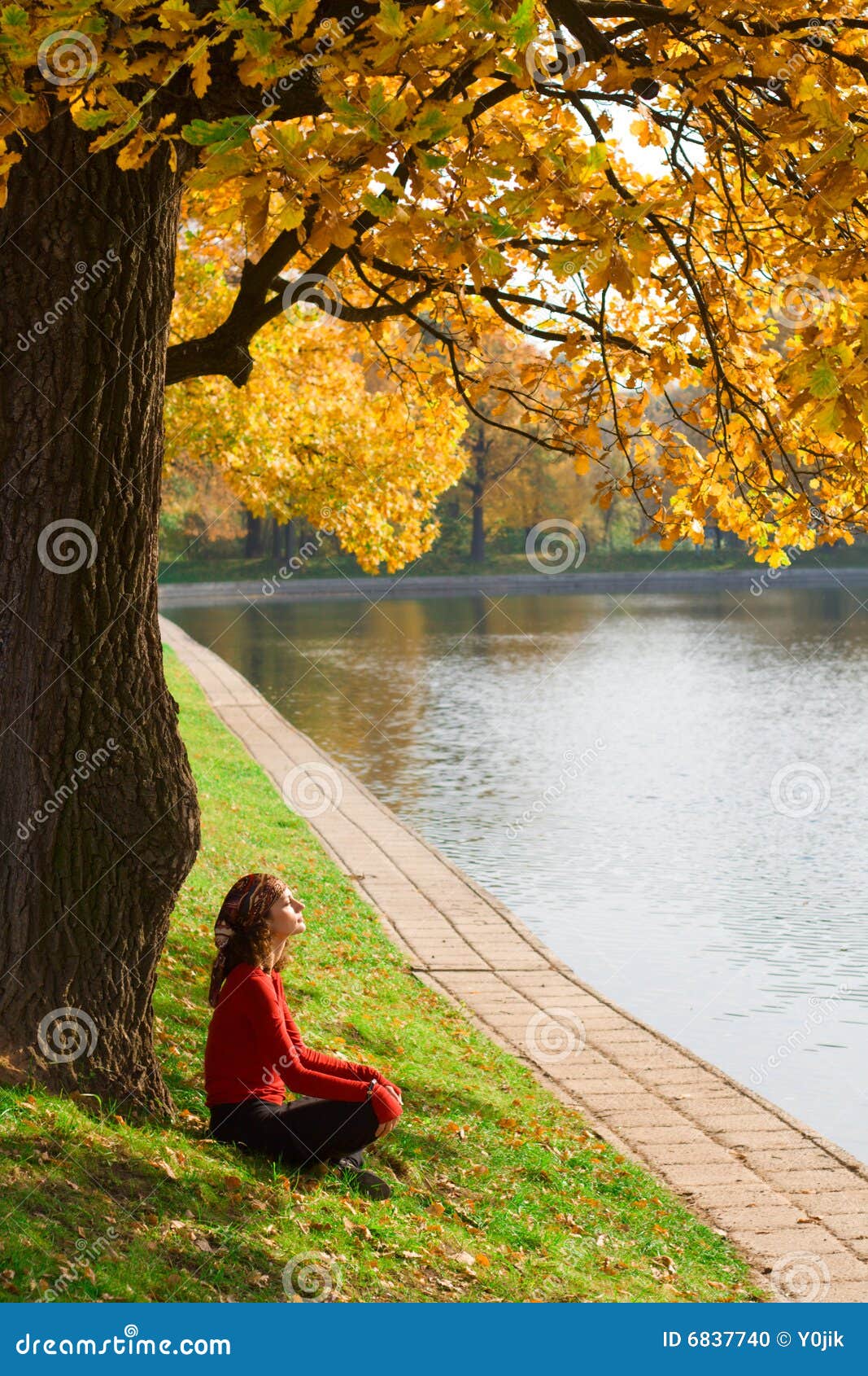 Meditate Under Fall Tree Photos - Free & Royalty-Free Stock Photos from ...