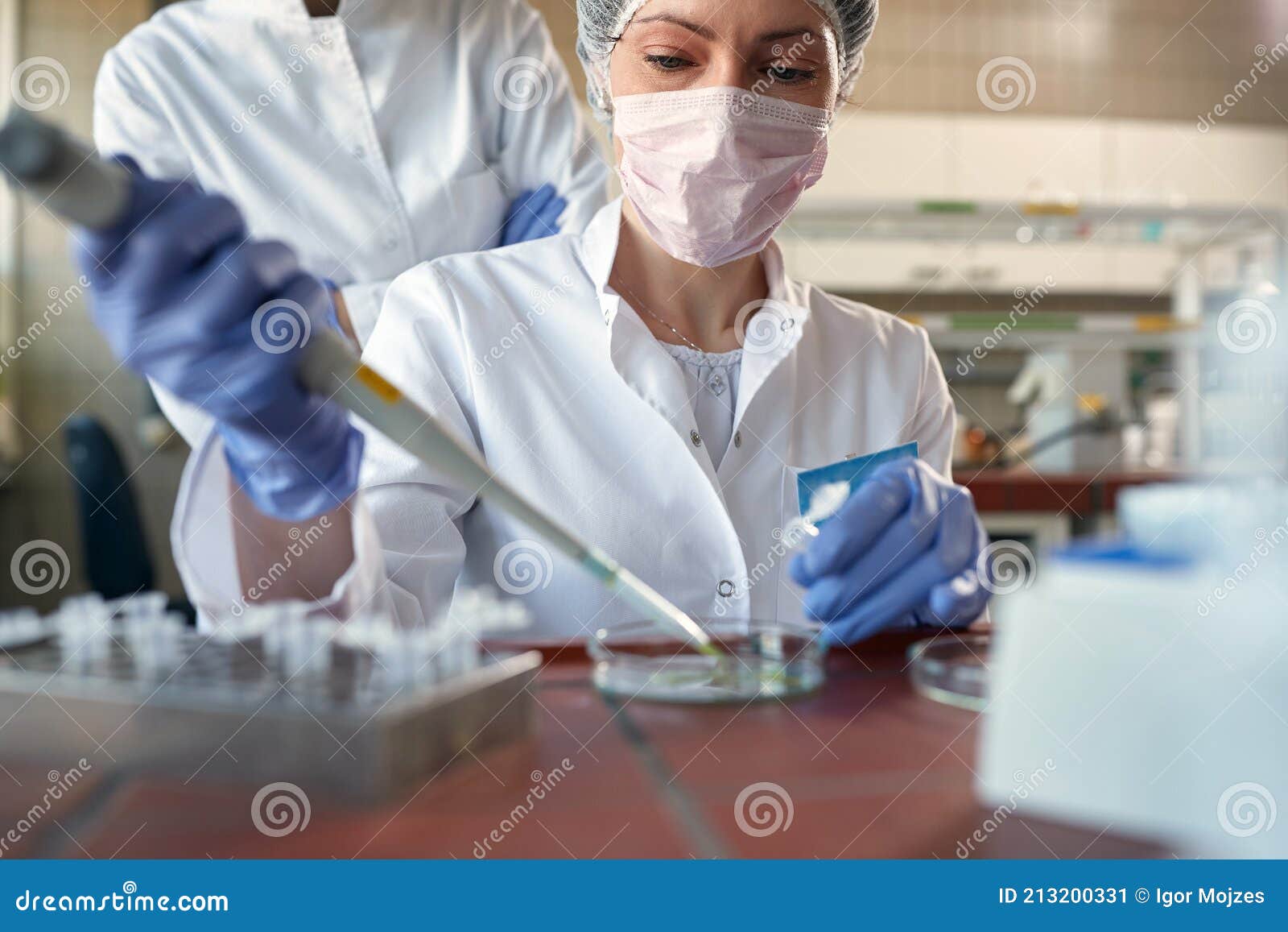 Woman Researcher Analyzing Microbilogy Samples Stock Image - Image of ...