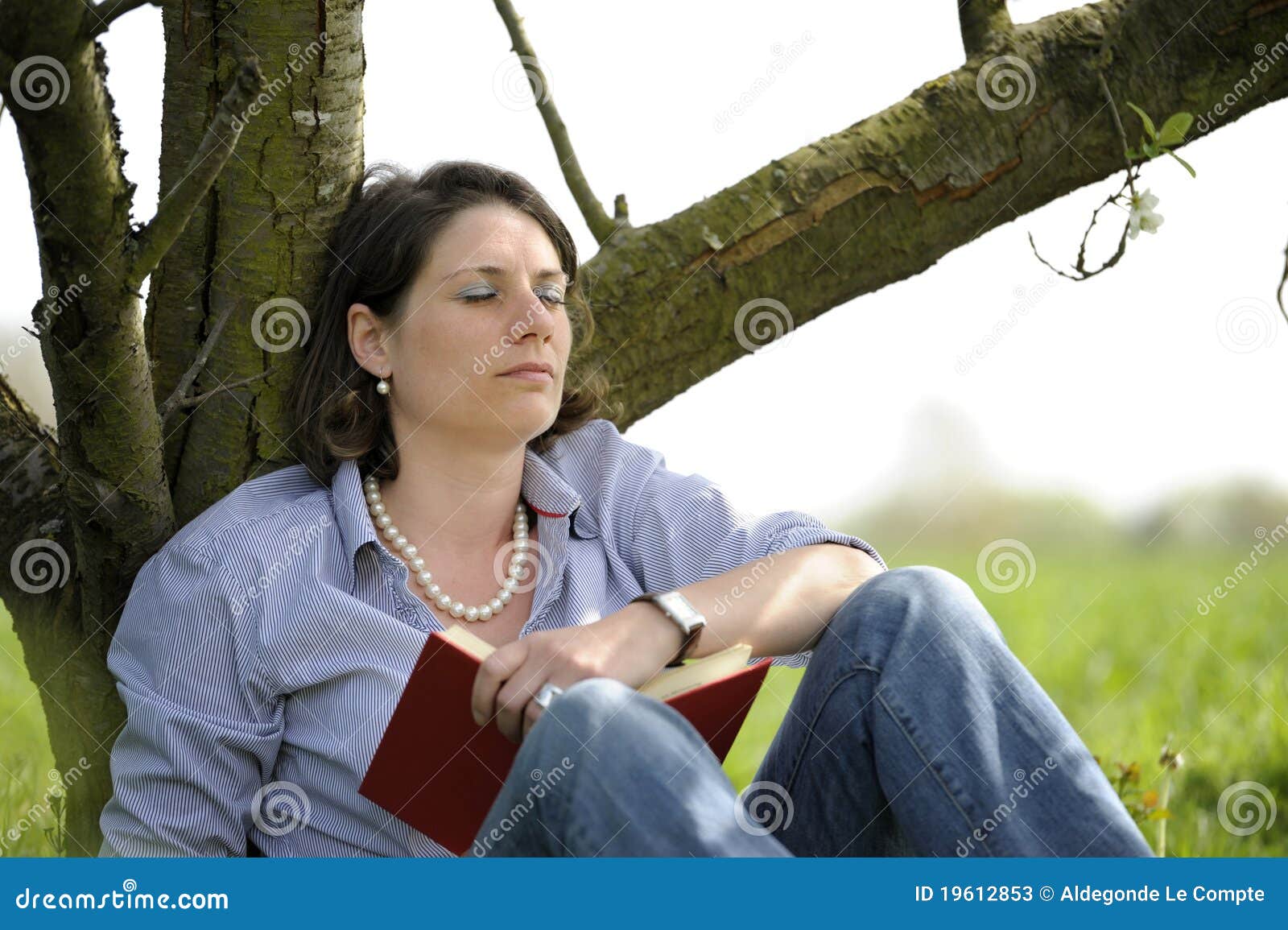 Woman resting under a tree stock image. Image of horizontal - 19612853
