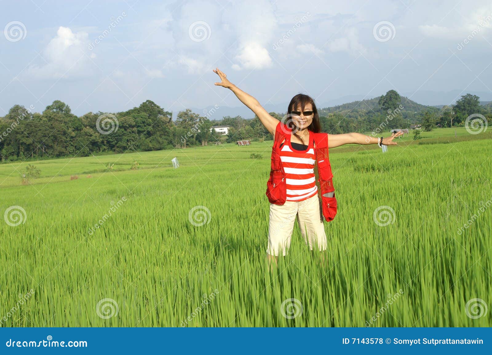 Woman in rice field stock photo. Image of happy, green - 7143578