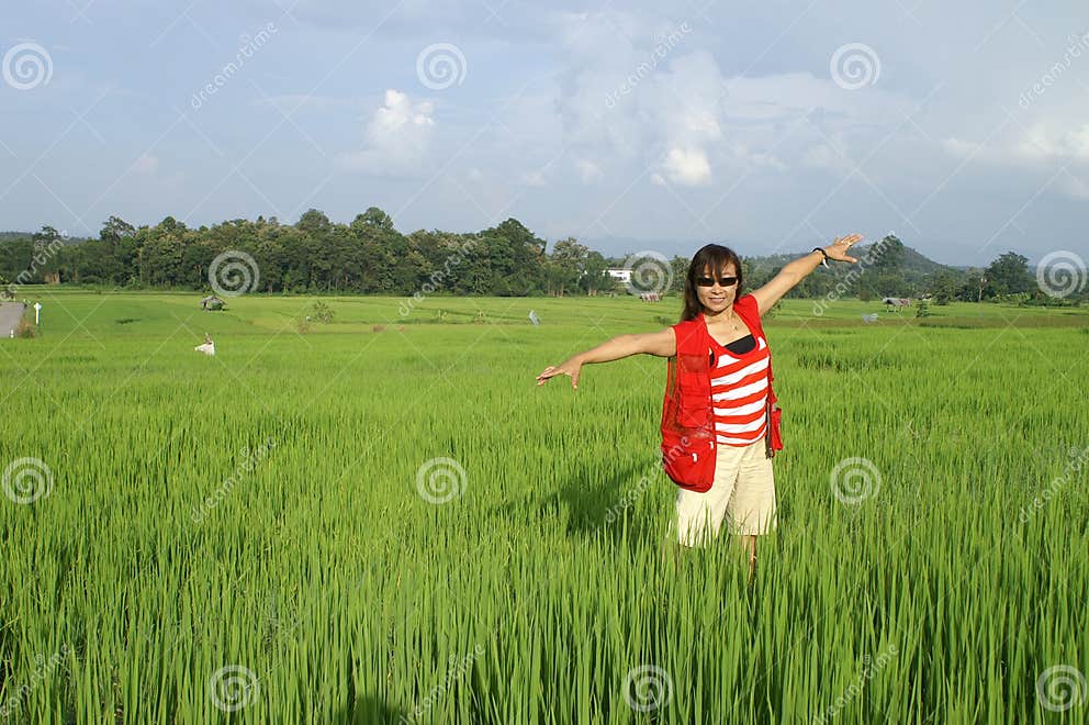 Woman in rice field stock photo. Image of thai, nice, green - 7143626
