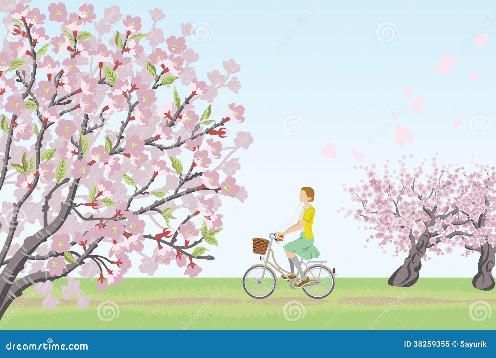 Woman Riding Bicycle in Spring Nature Stock Vector - Illustration of ...