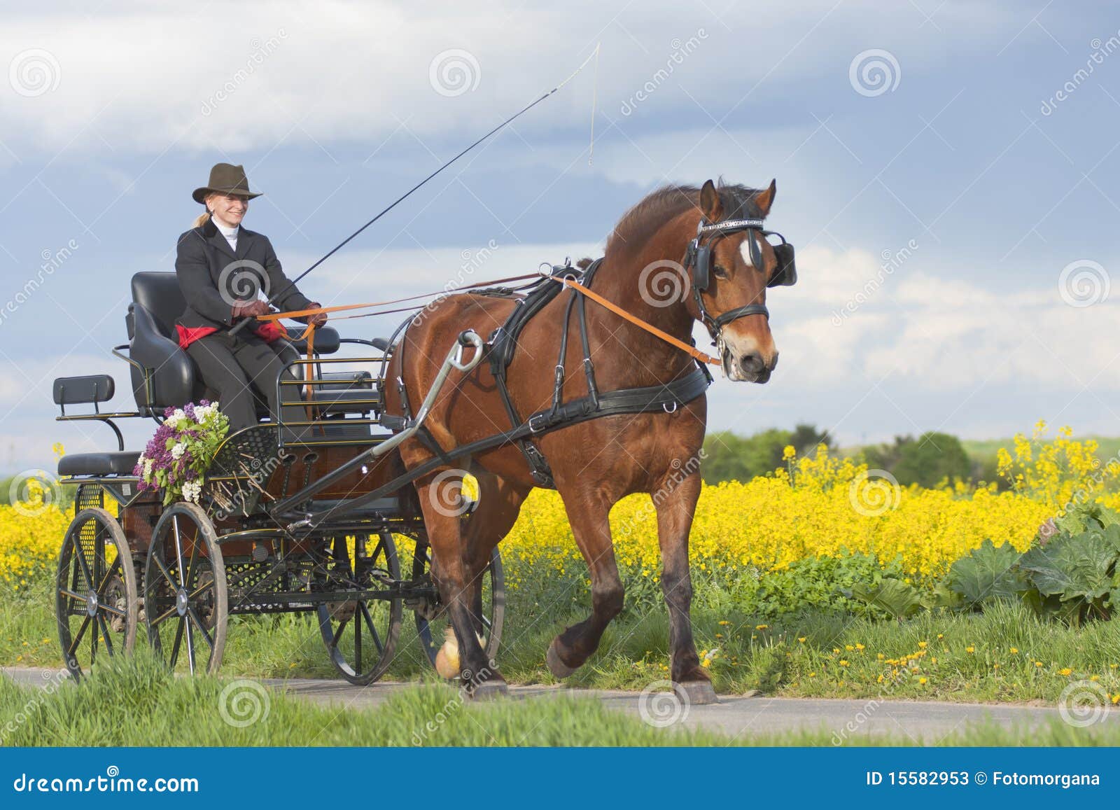 Woman riding carriage stock image. Image of woman, profile - 15582953
