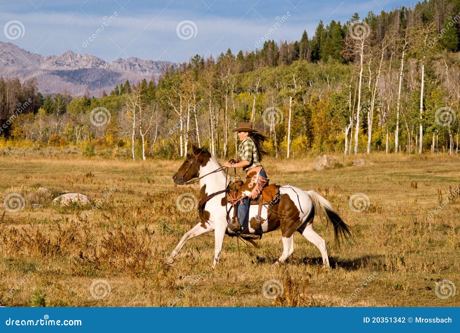 Woman Riding Horse stock photo. Image of peaceful, sunny - 20351342