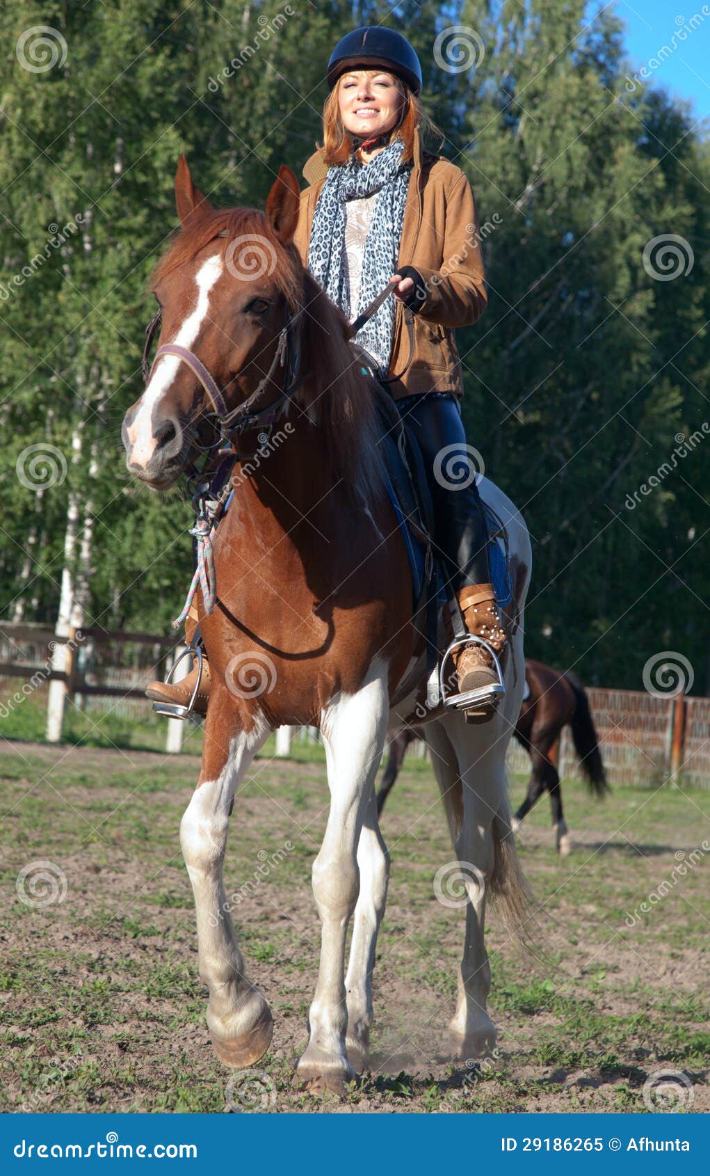 A woman riding a horse stock image. Image of animal, activity - 29186265