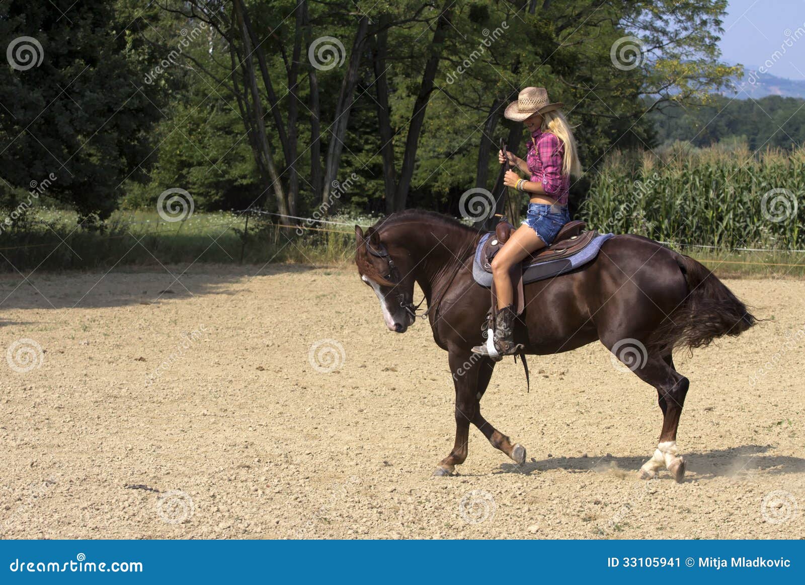 Woman riding a horse stock image. Image of friend, head - 33105941