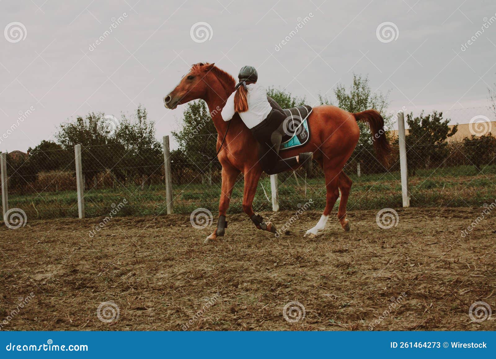 Woman Riding a Horse in a Range Stock Image - Image of mammal, animal ...