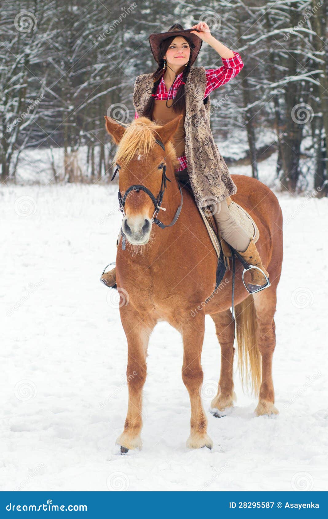 Woman Riding a Horse the Snow Stock Image - Image of white, winter ...