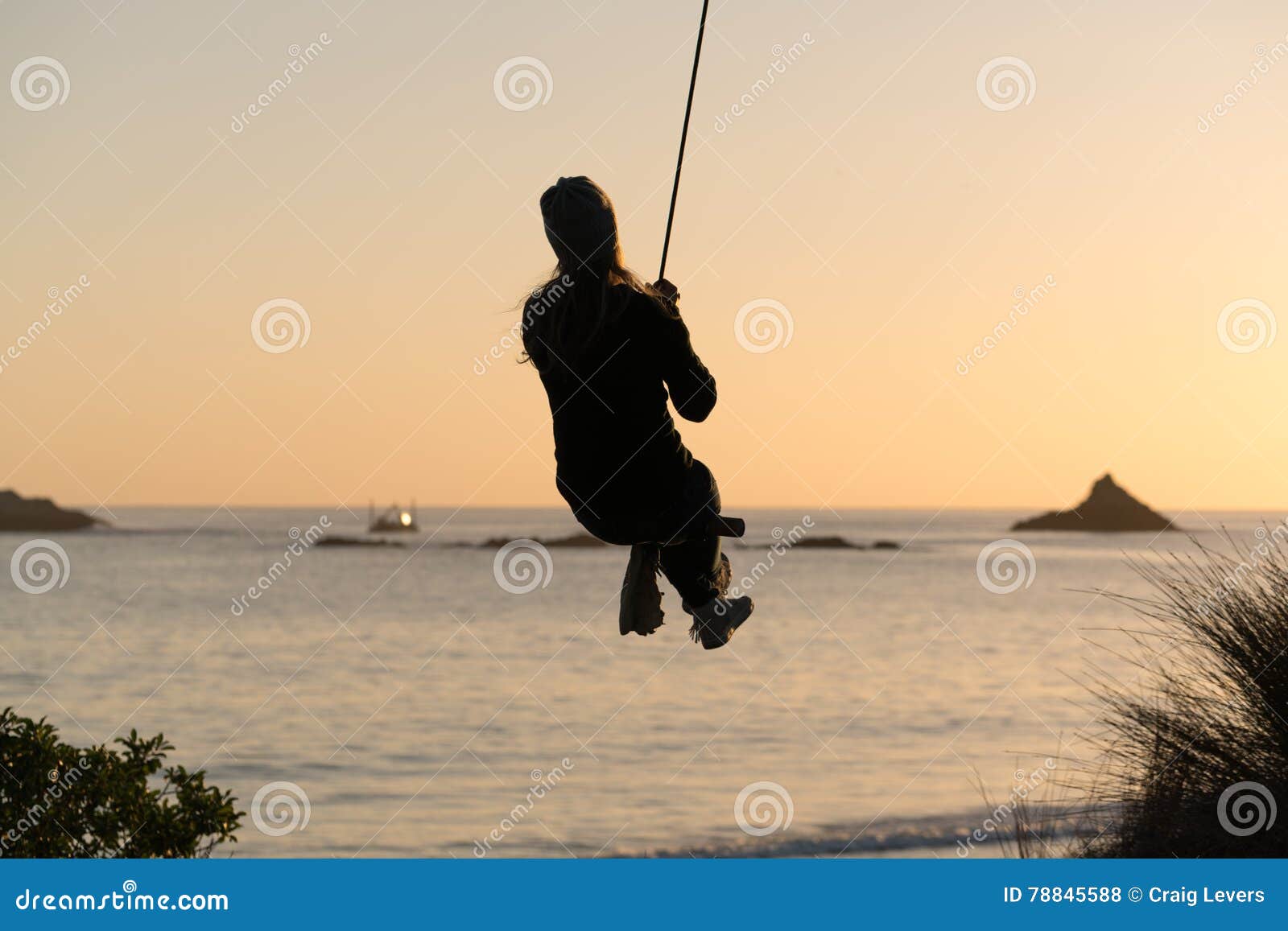 Woman on Rope Swing stock photo. Image of swing, evening - 78845588