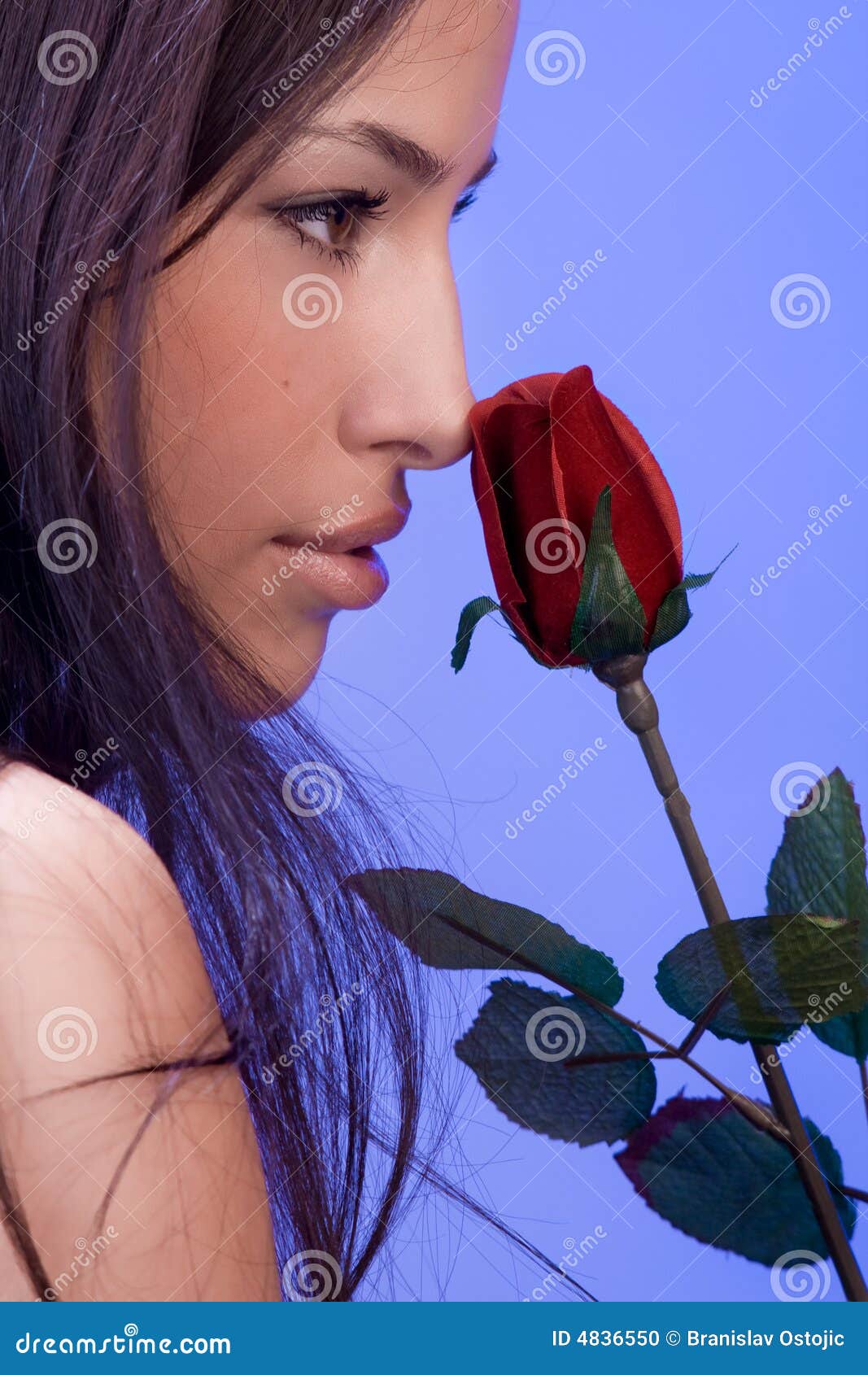 Woman and rose stock photo. Image of women, young, vertical - 4836550