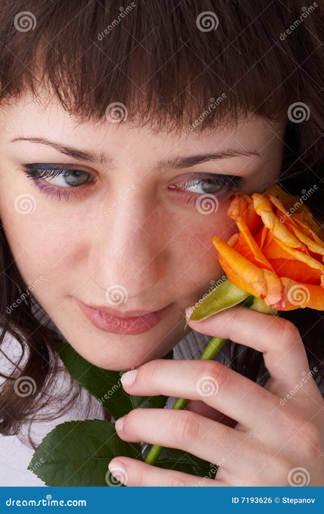 Woman with rose stock photo. Image of beautiful, female - 7193626