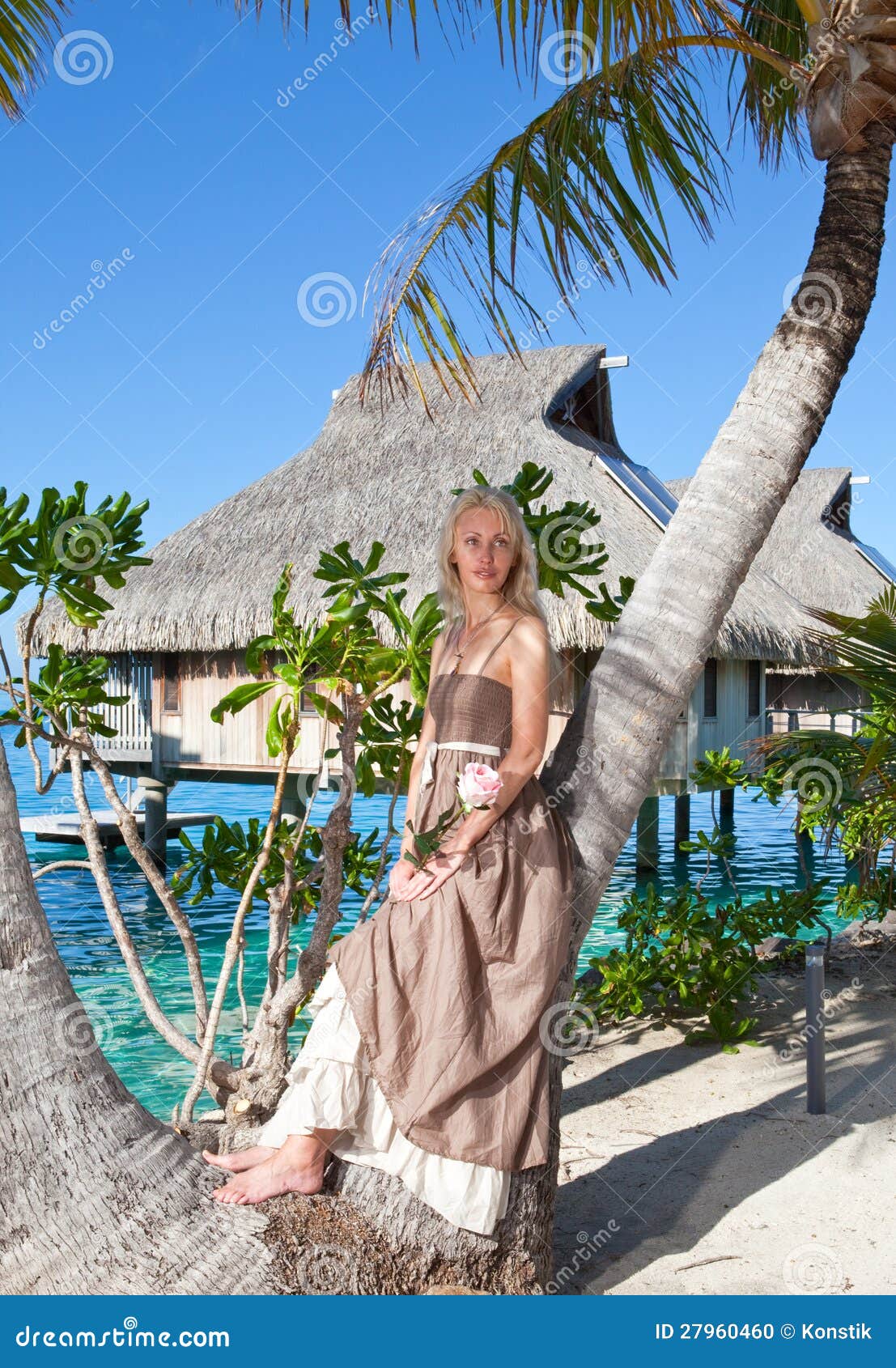 Woman with a Rose at a Palm Tree. Bora-bora, Stock Photo - Image of ...