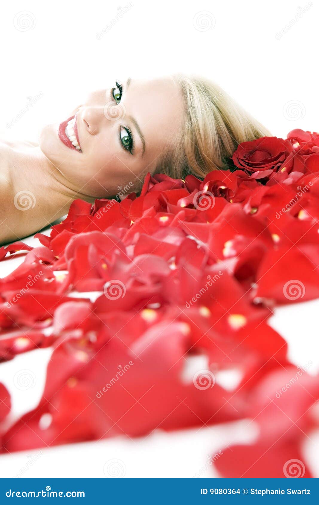 Woman in roses stock photo. Image of makeup, girl, flower - 9080364