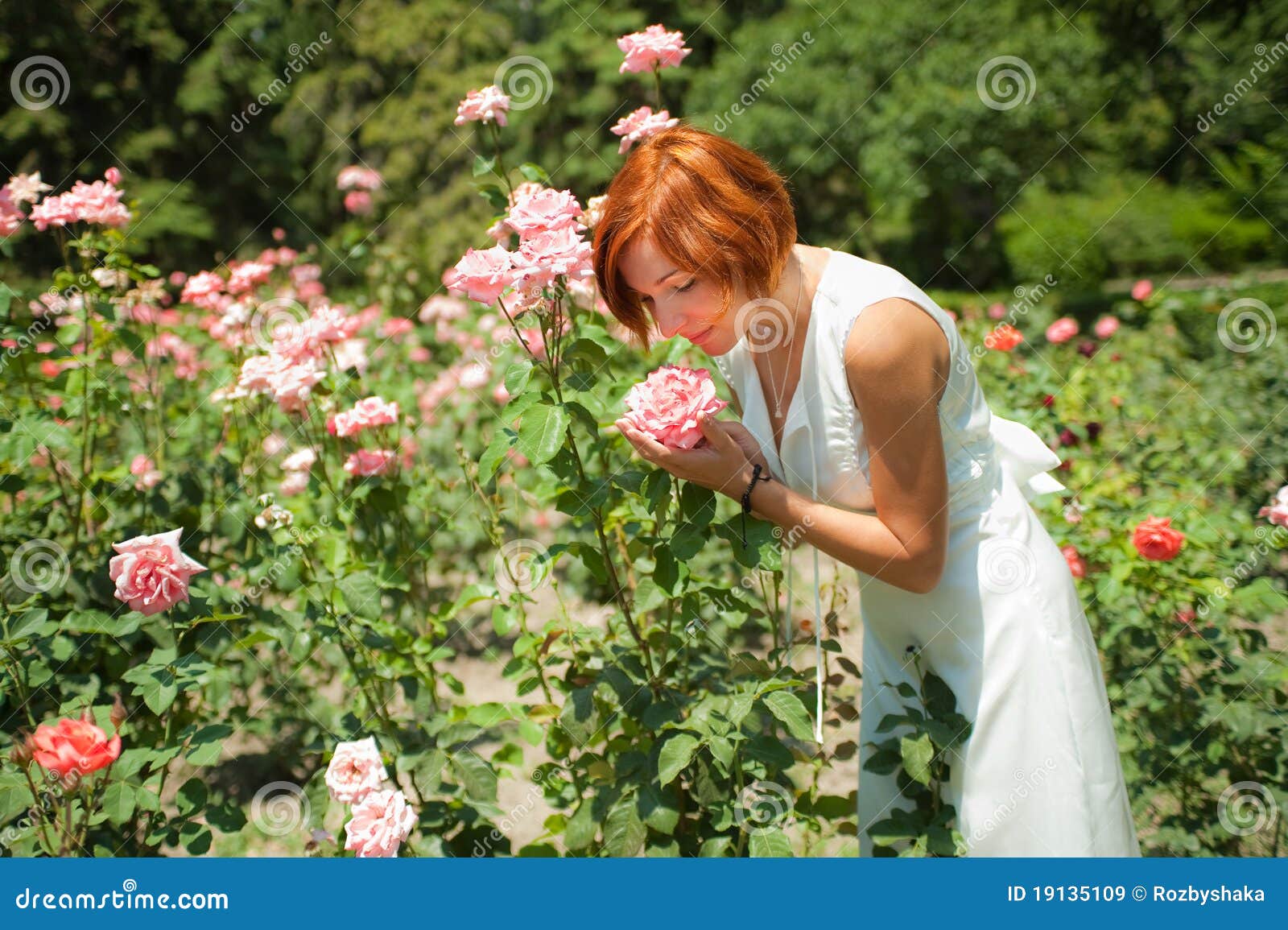 Woman in roses garden stock image. Image of flower, face - 19135109