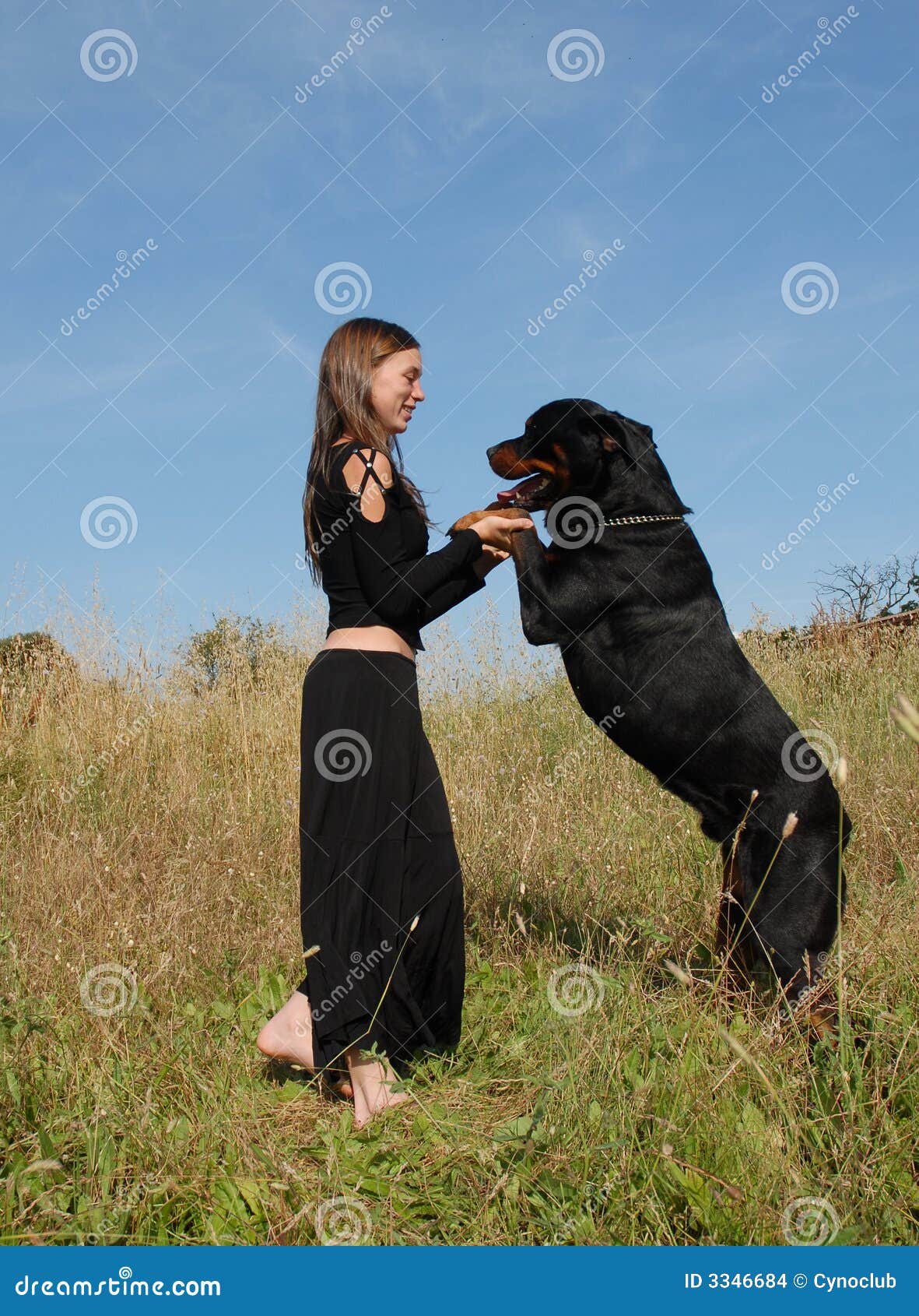 Woman and rottweiler stock photo. Image of slim, teen - 3346684