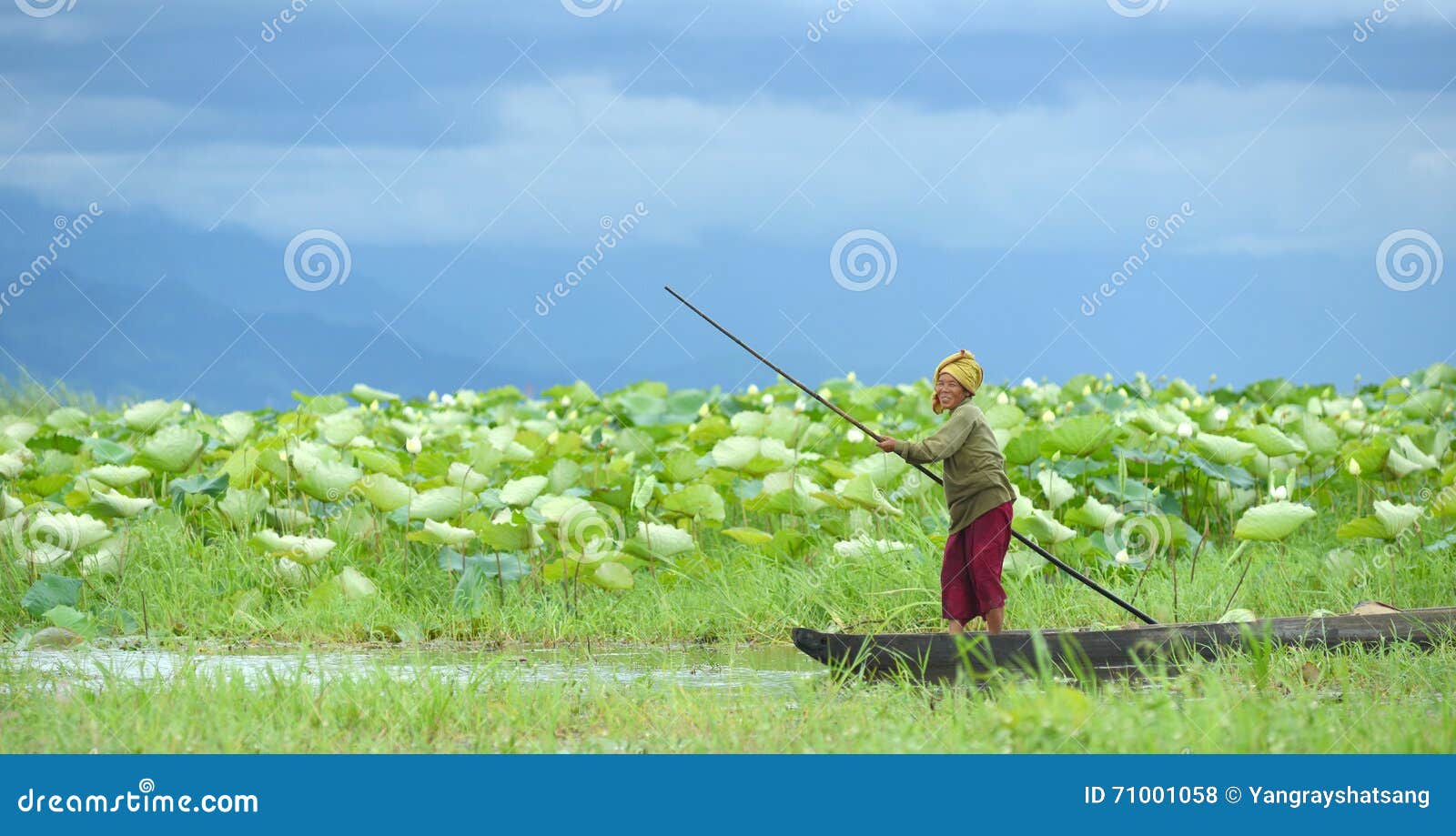 Woman rowing canoe to work editorial stock photo. Image of canoe - 71001058