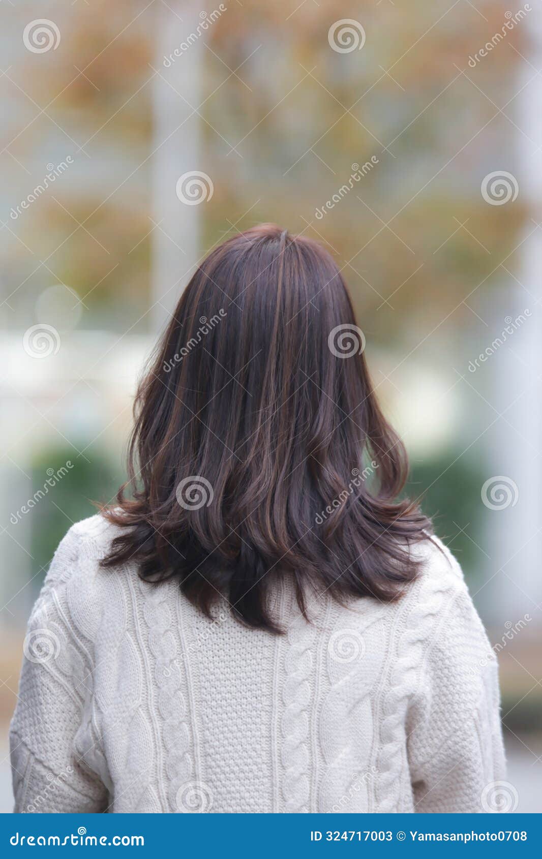 Woman s back view stock image. Image of haircut, pretty - 324717003