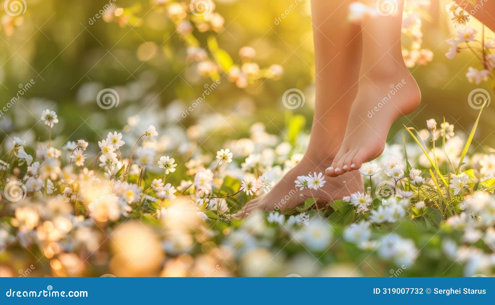 A Woman& X27;s Bare Feet are in a Field of Flowers, AI Stock ...