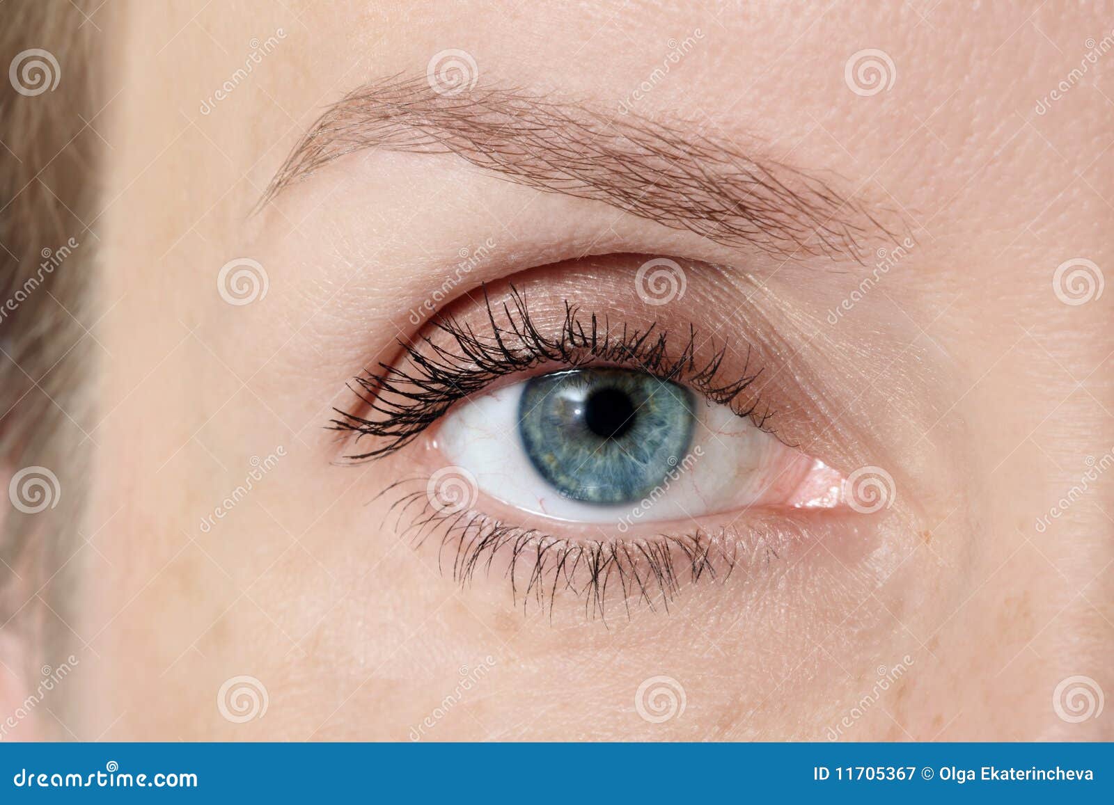 Woman s eye stock image. Image of ophthalmology, focus - 11705367