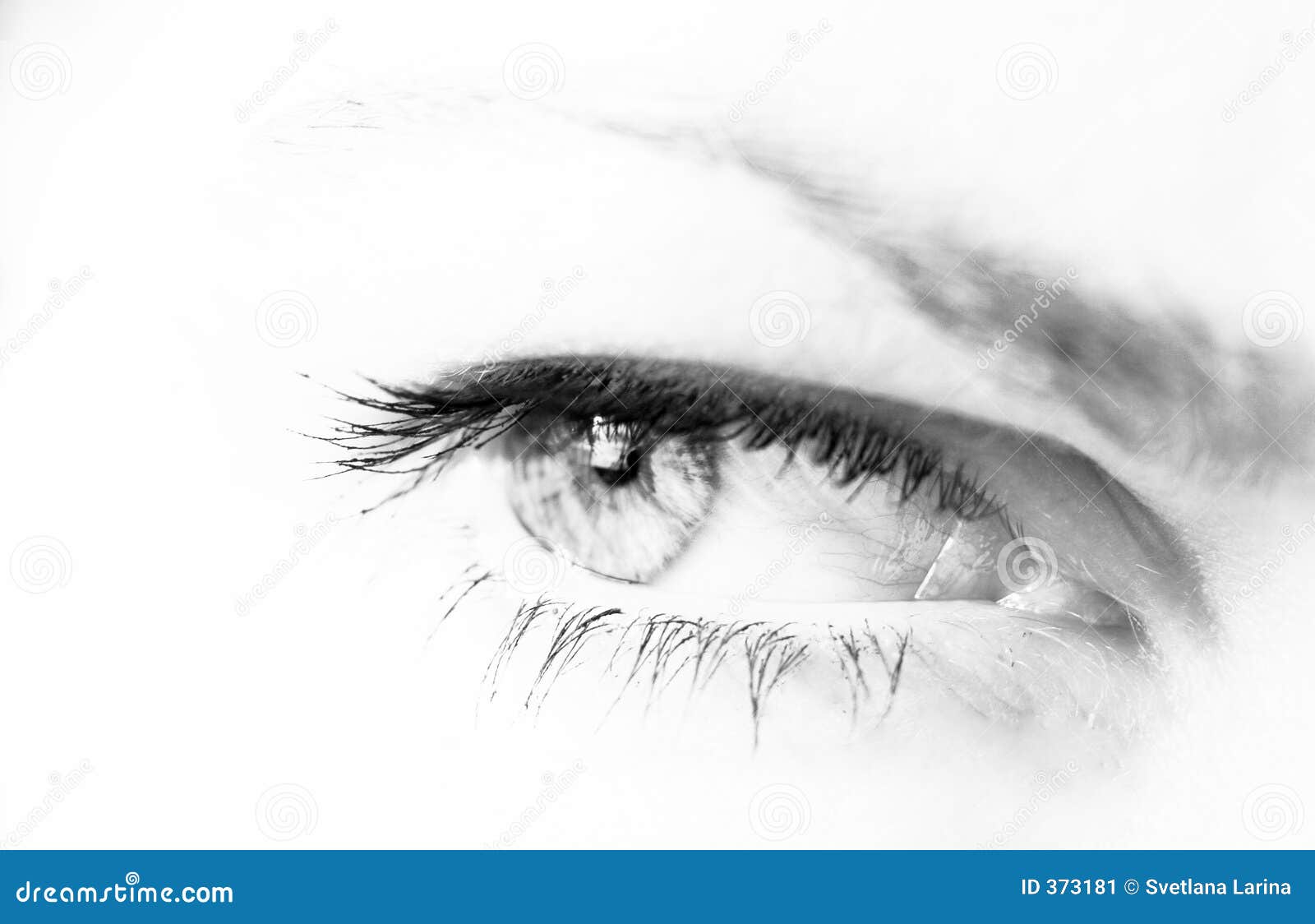 Woman s eye in b/w stock image. Image of element, beautiful - 373181