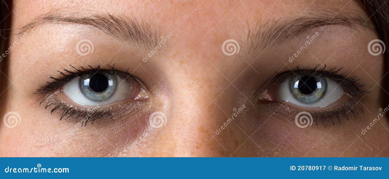 Woman s eyes stock image. Image of natural, eyelashes - 20780917