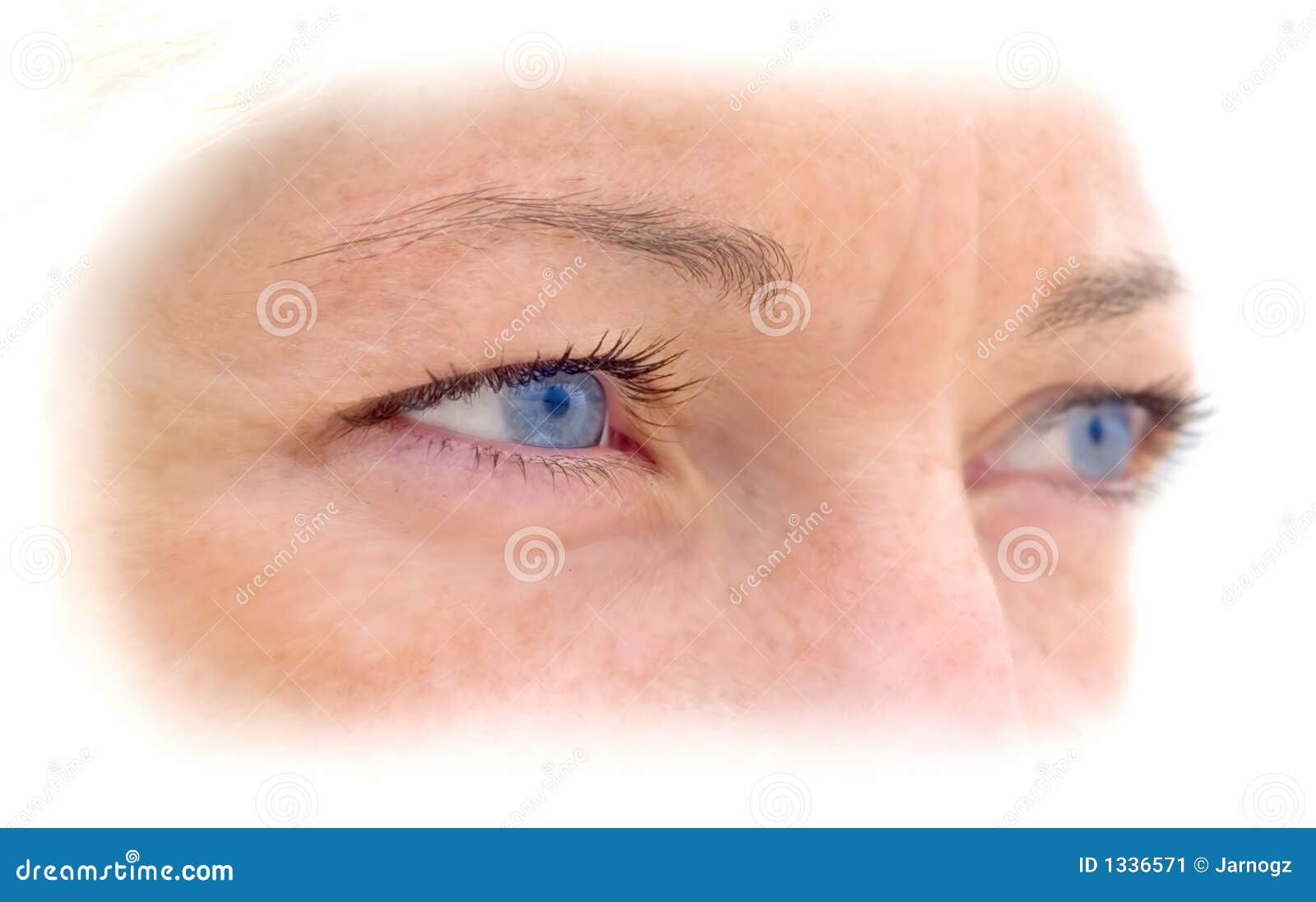 Woman S Face with Colorful Blue Eyes. Stock Image - Image of brow ...