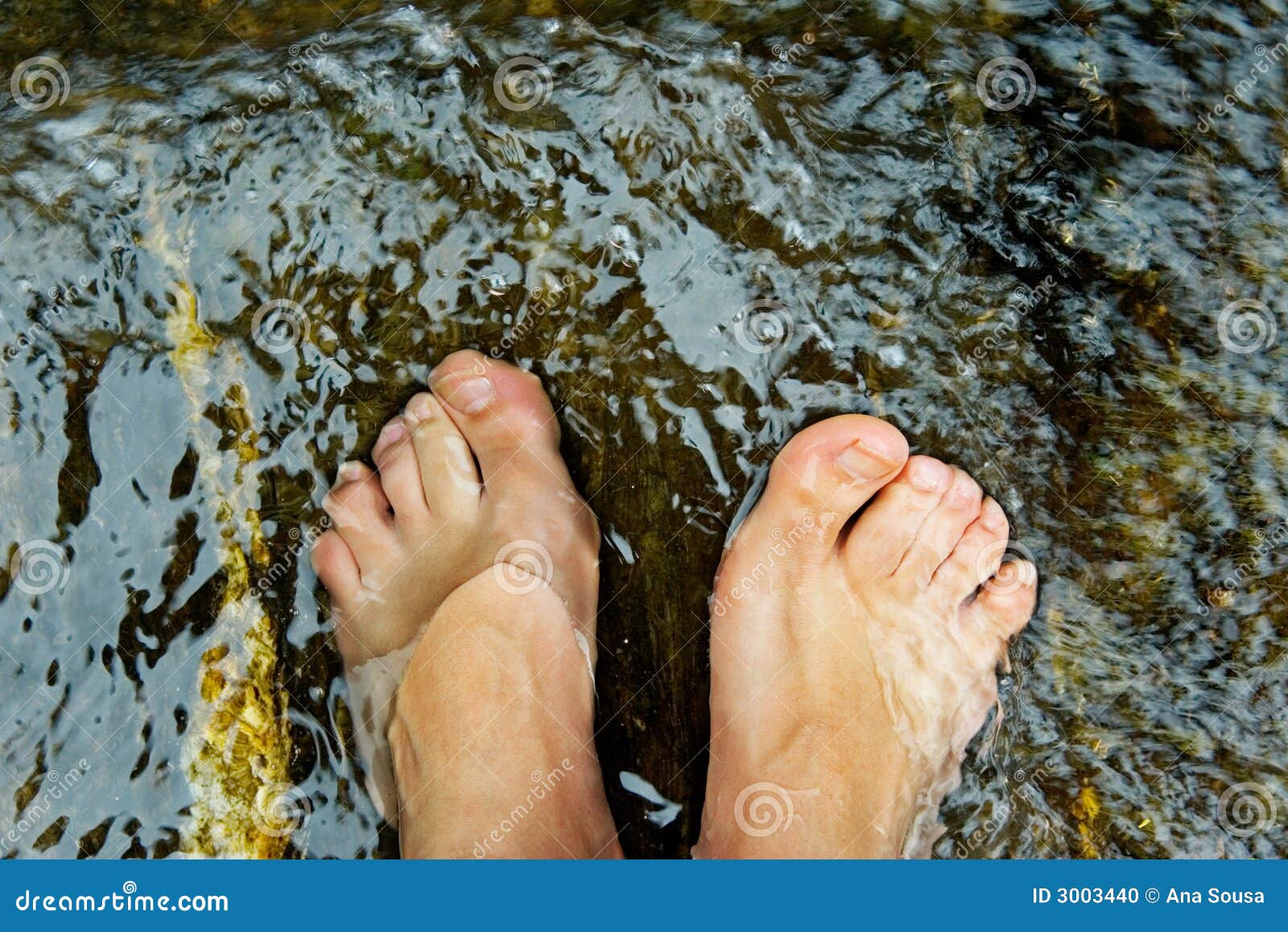 Woman s feet underwater stock photo. Image of human, beautiful - 3003440