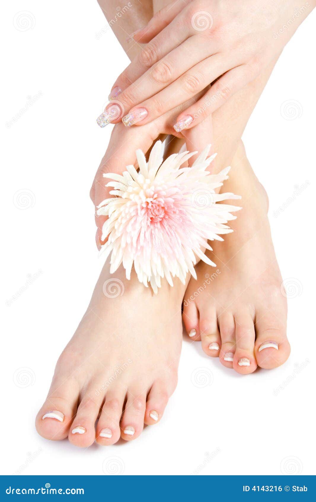 Woman S Foot and Hand with Flowers on White Stock Photo - Image of ...