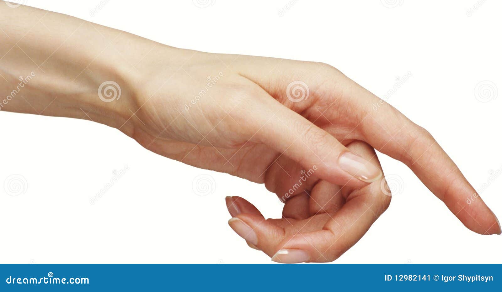 Woman`s hand. stock image. Image of woman, finger, nail - 12982141