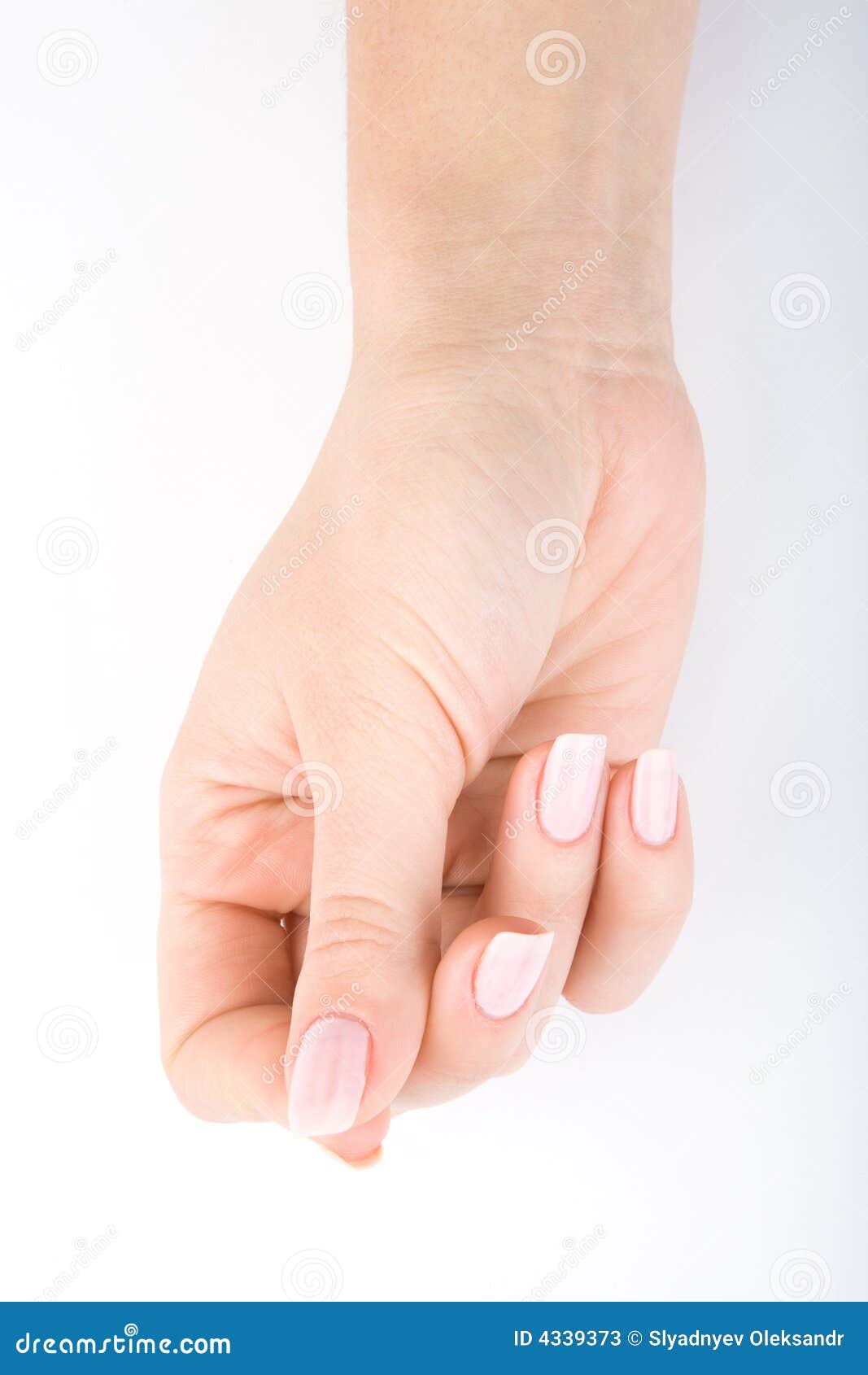Woman s hand stock image. Image of bright, blank, partnership - 4339373