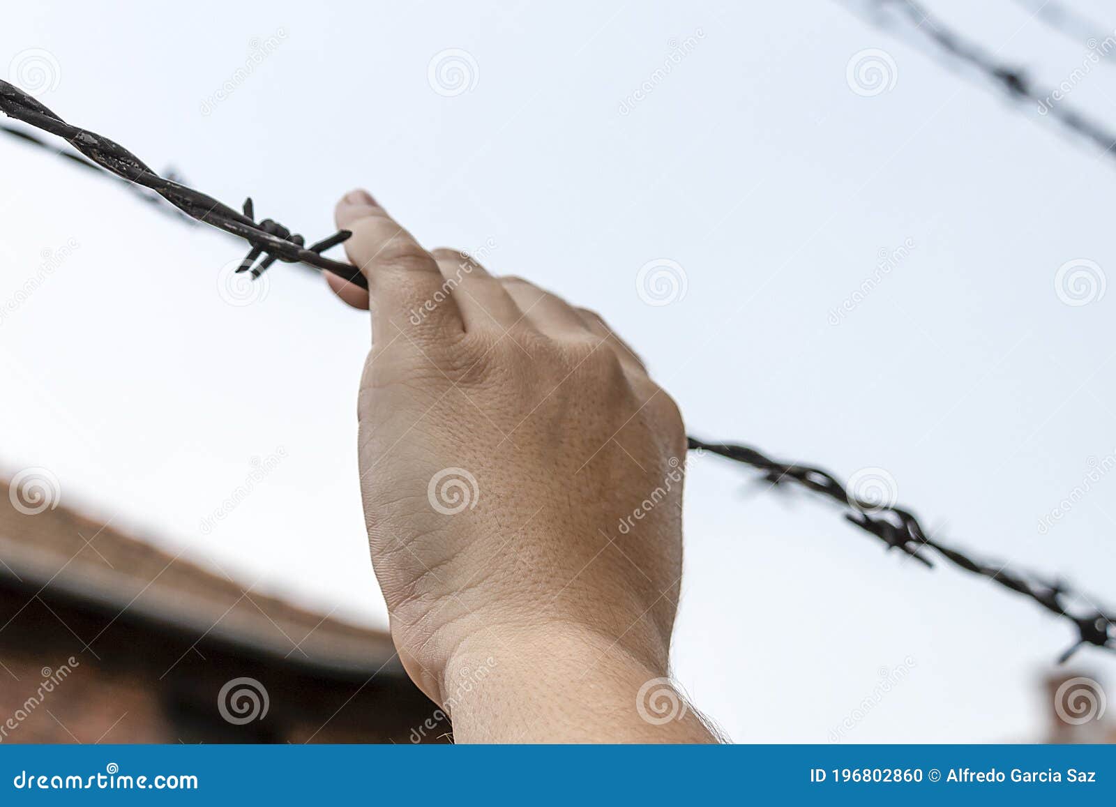 Hand Grasping A Metal Fence Royalty-Free Stock Photo | CartoonDealer ...
