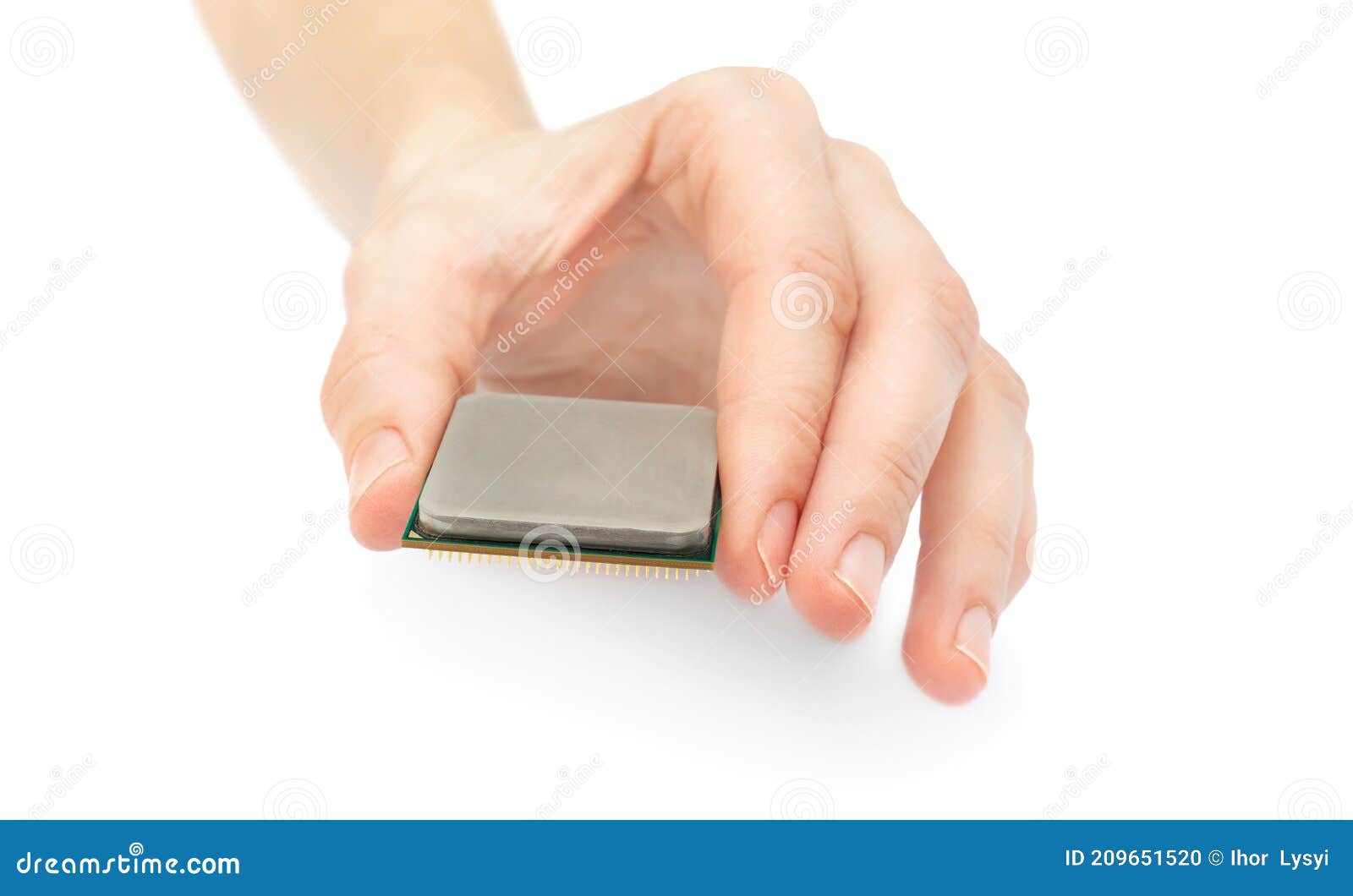 Woman`s Hand Holding Computer Processor on White Stock Photo - Image of ...