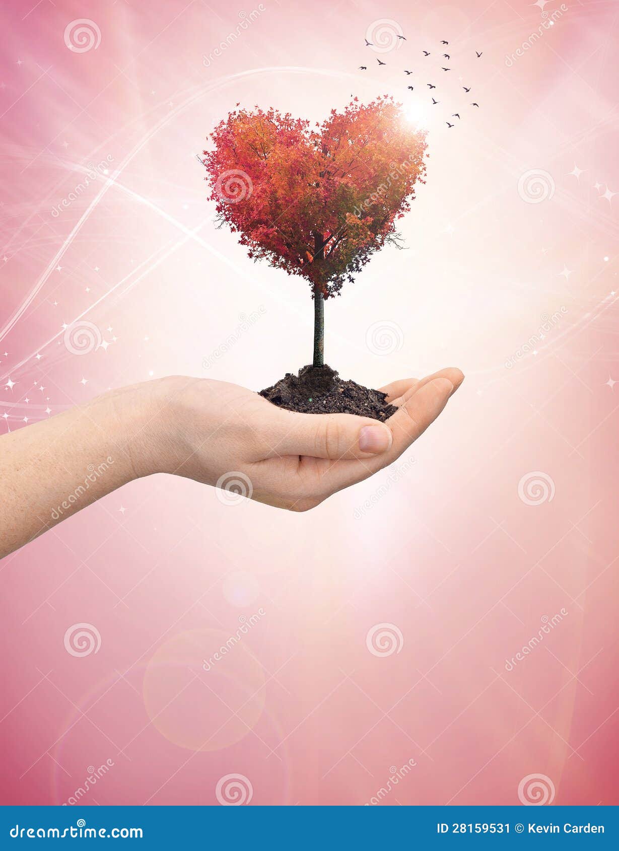 Woman S Hand Holding a Tree Heart Stock Image - Image of human, nature ...