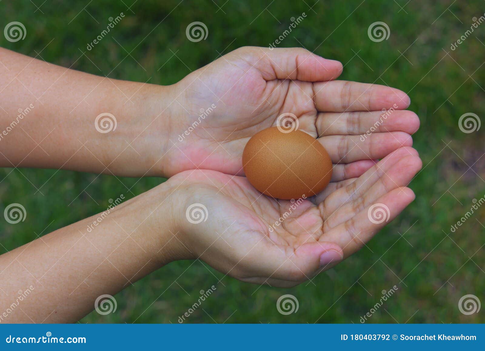 The Hand that Holds the Egg with Various Gestures. Stock Photo - Image ...