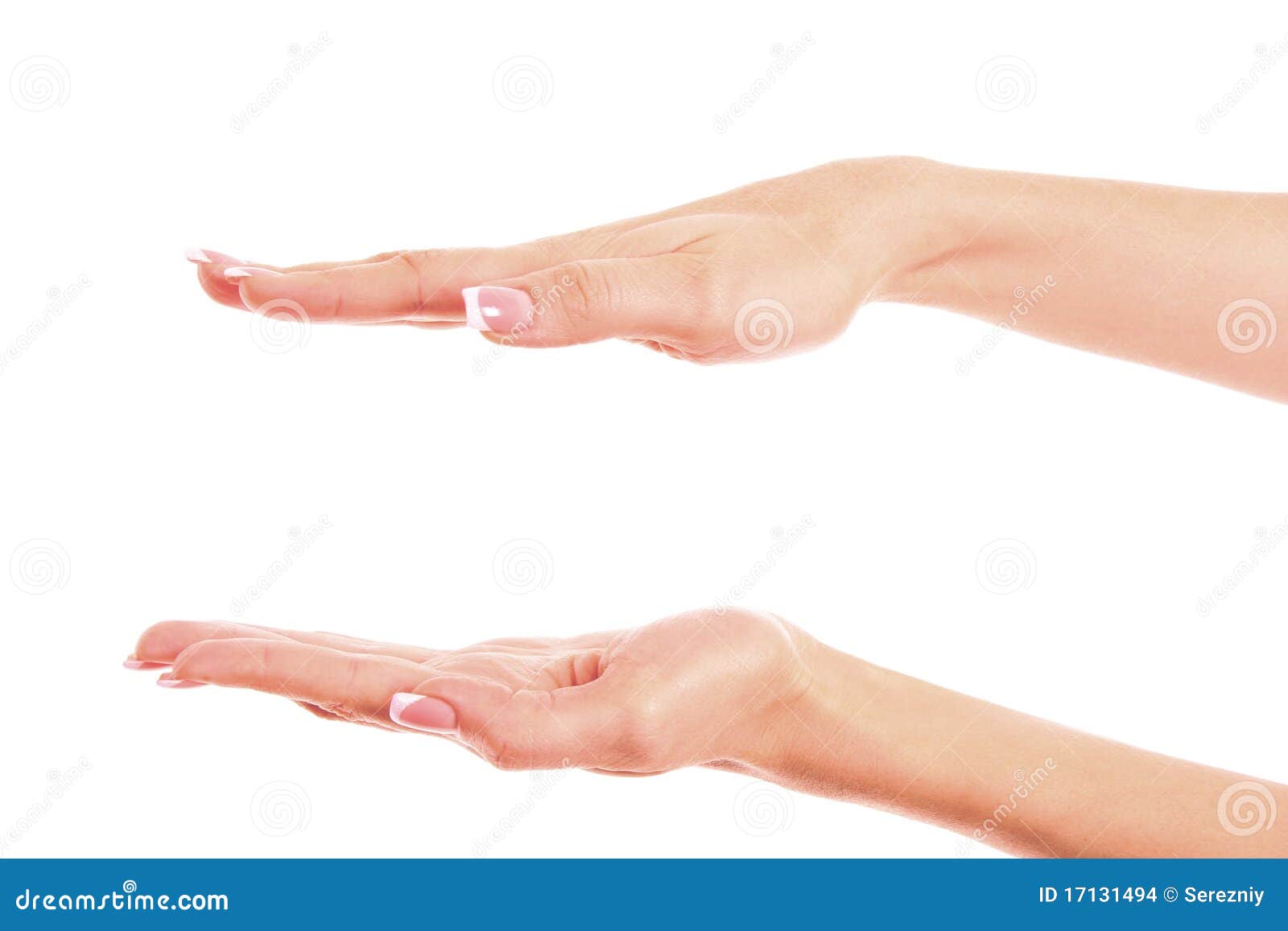 Woman s hand isolated stock photo. Image of life, showing - 17131494