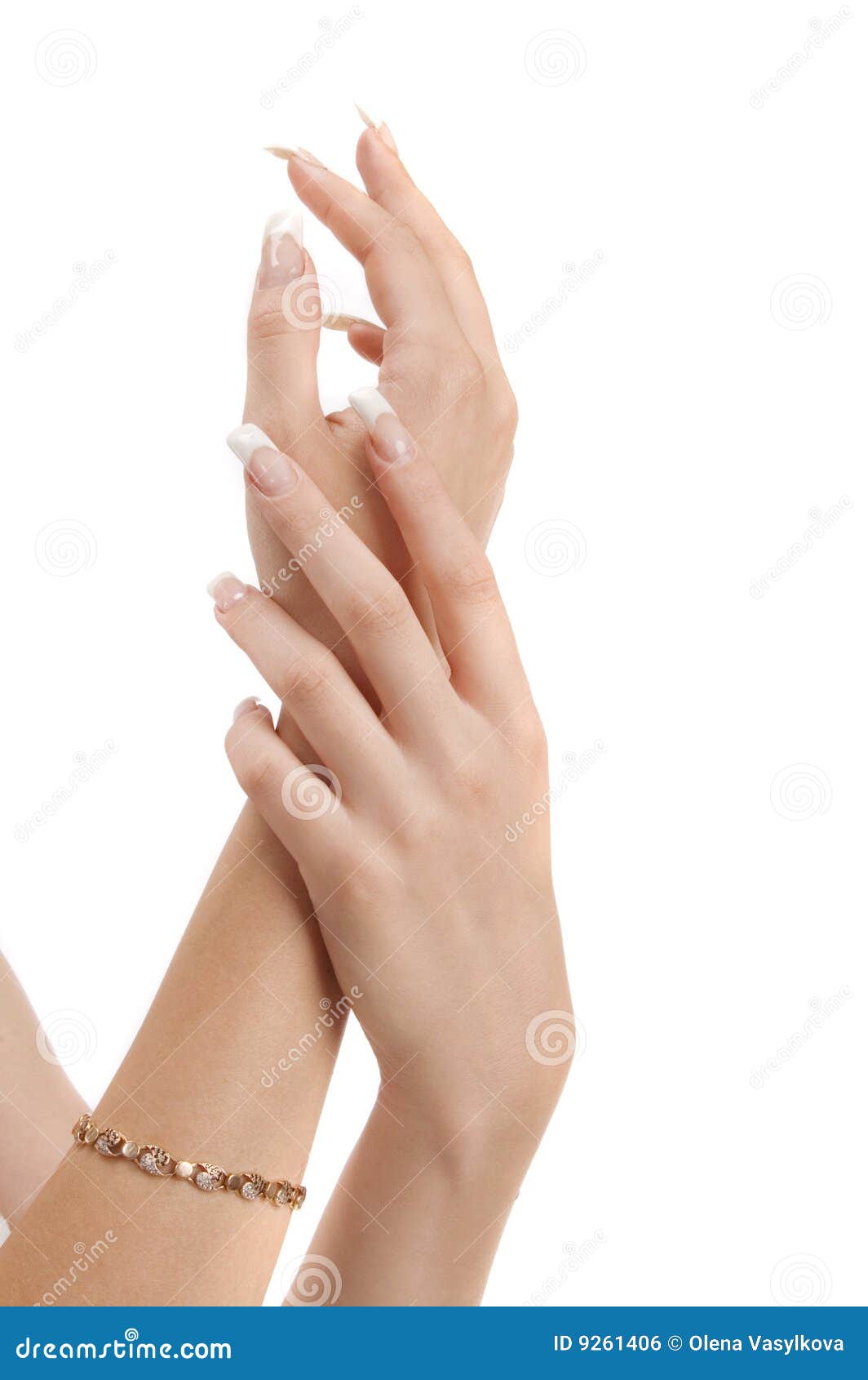 Woman s hand isolated stock photo. Image of agreement - 9261406