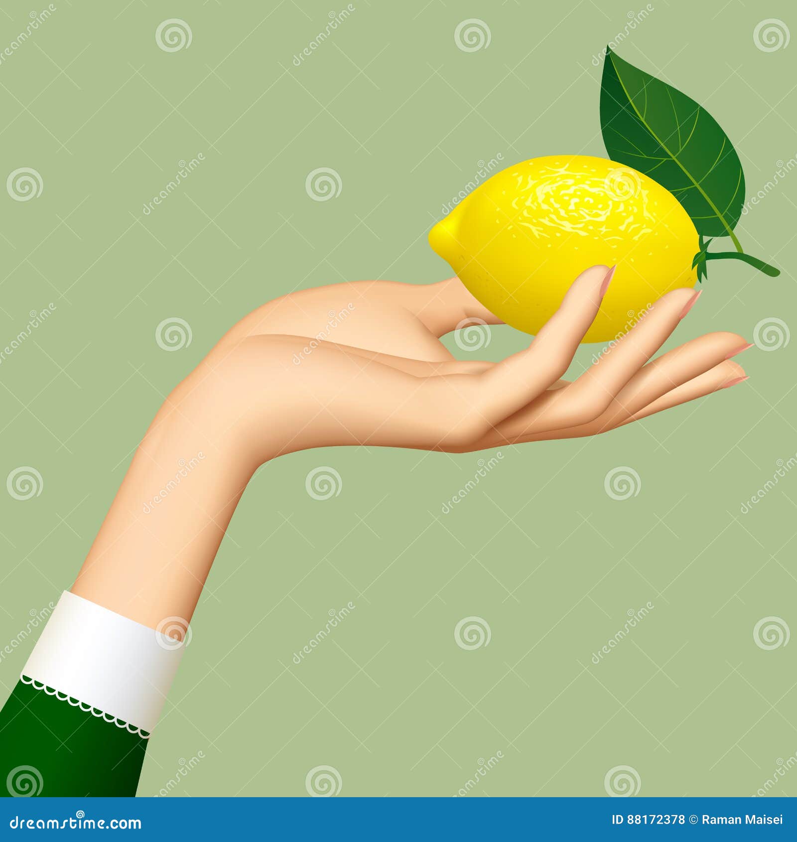 Woman`s Hand with a Lemon Isolated on Green Background Stock Vector ...