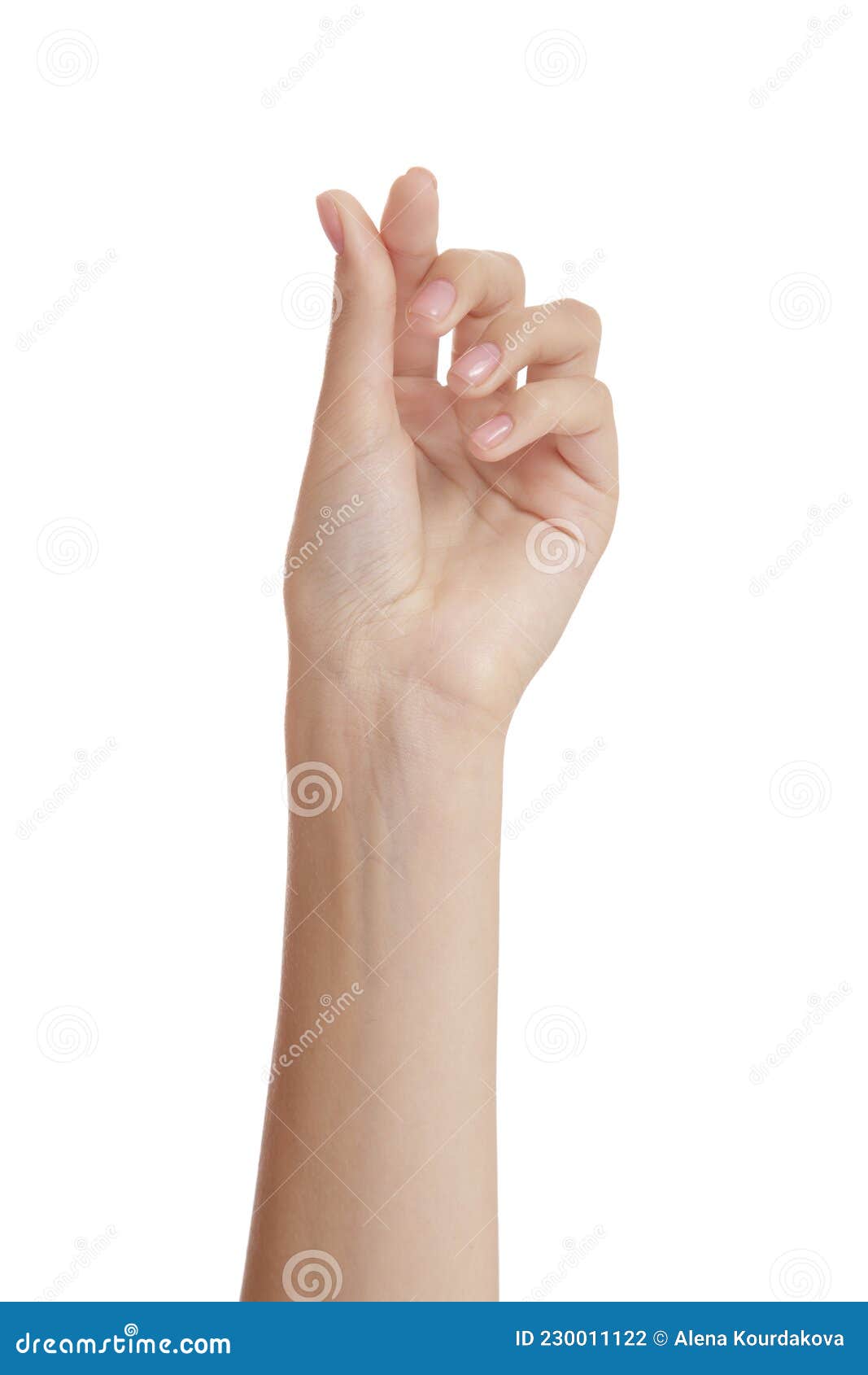 Woman`s Hand on a White Background is Empty. Keep Something Pinch Stock ...