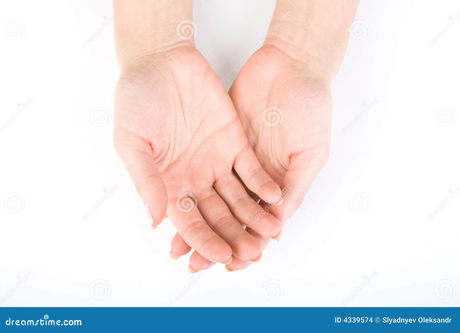 Woman s hands stock photo. Image of form, finger, people - 4339574