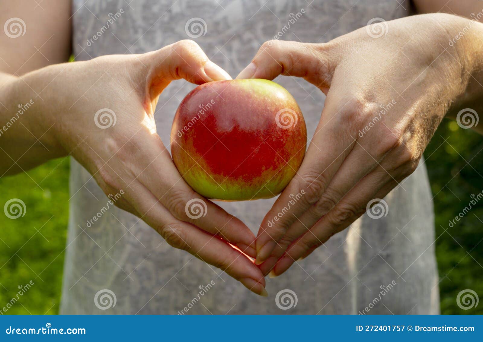 Womanand X27 S Hands Hold Red Delicious Apple Making Heart Shape On
