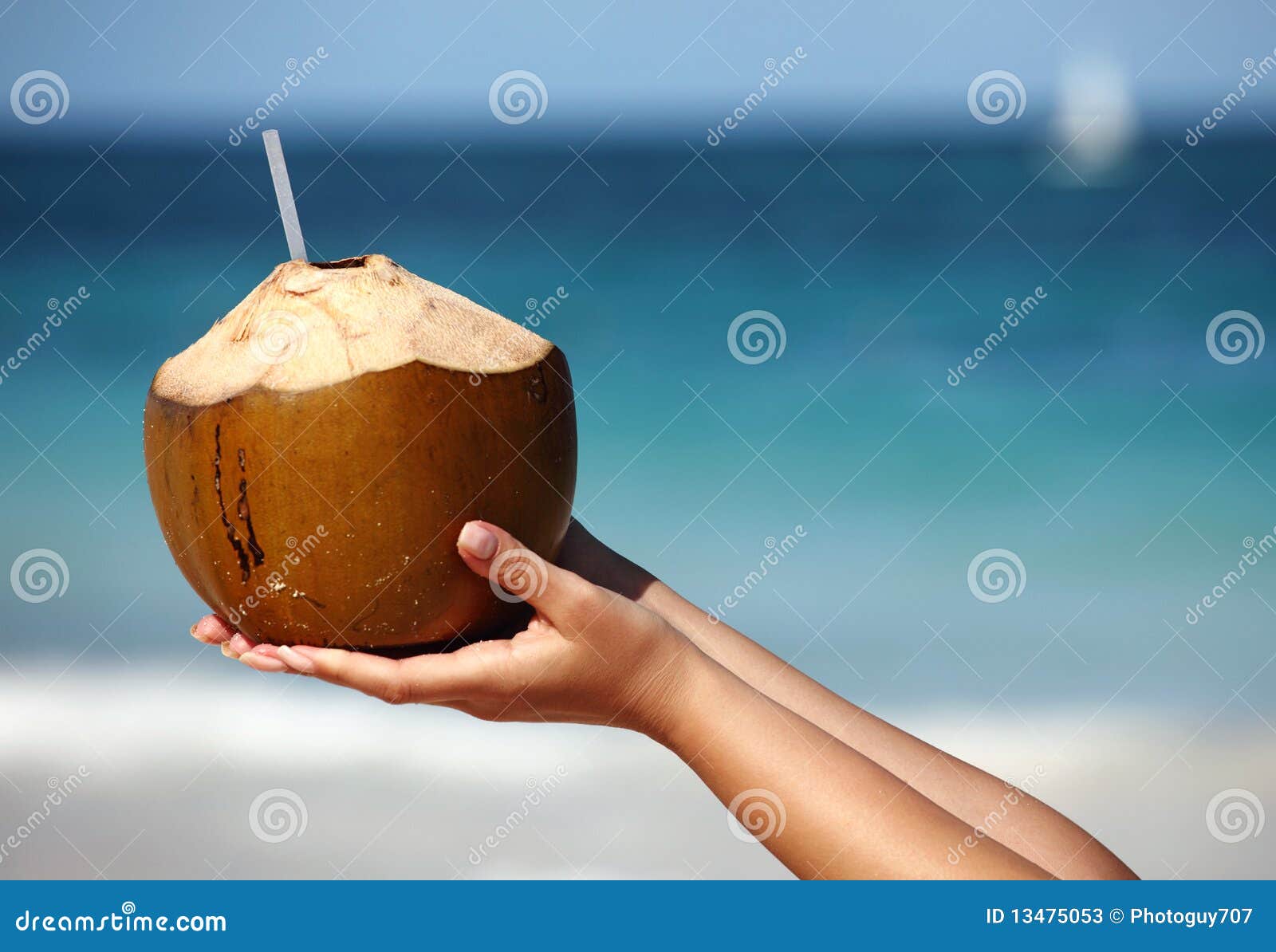 Woman`s Hands Holding Coconut Stock Image - Image of landscape, beauty ...