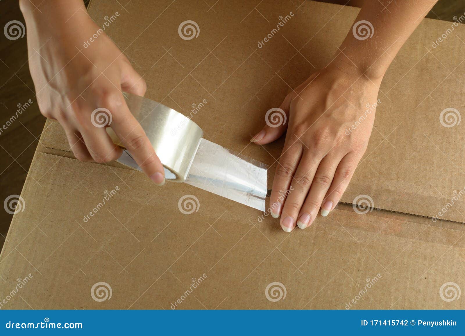 Woman`s Hands Pack the Box for Relocation. Stock Photo - Image of ...