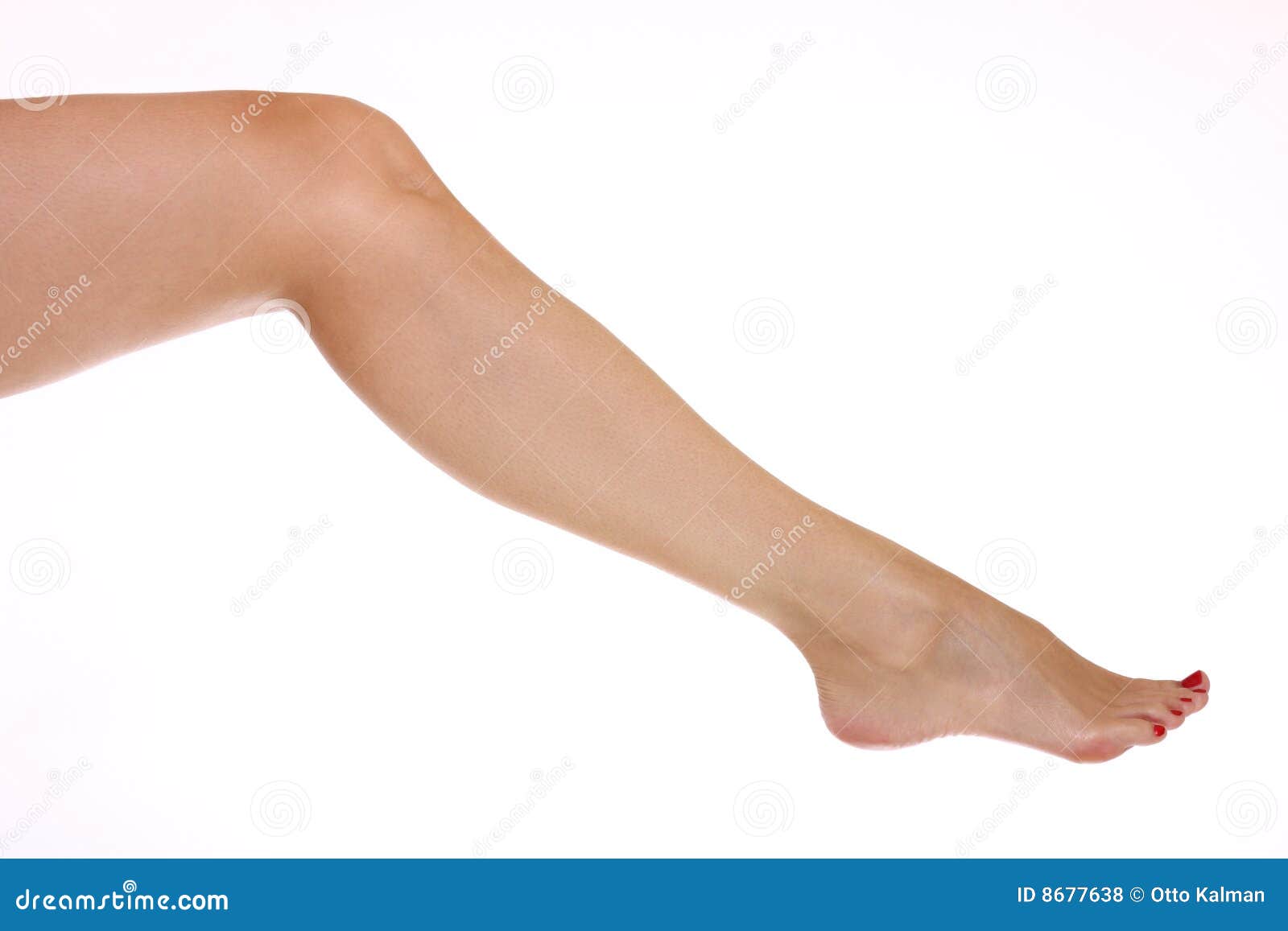 Woman s leg stock photo. Image of body, naked, elegant - 8677638