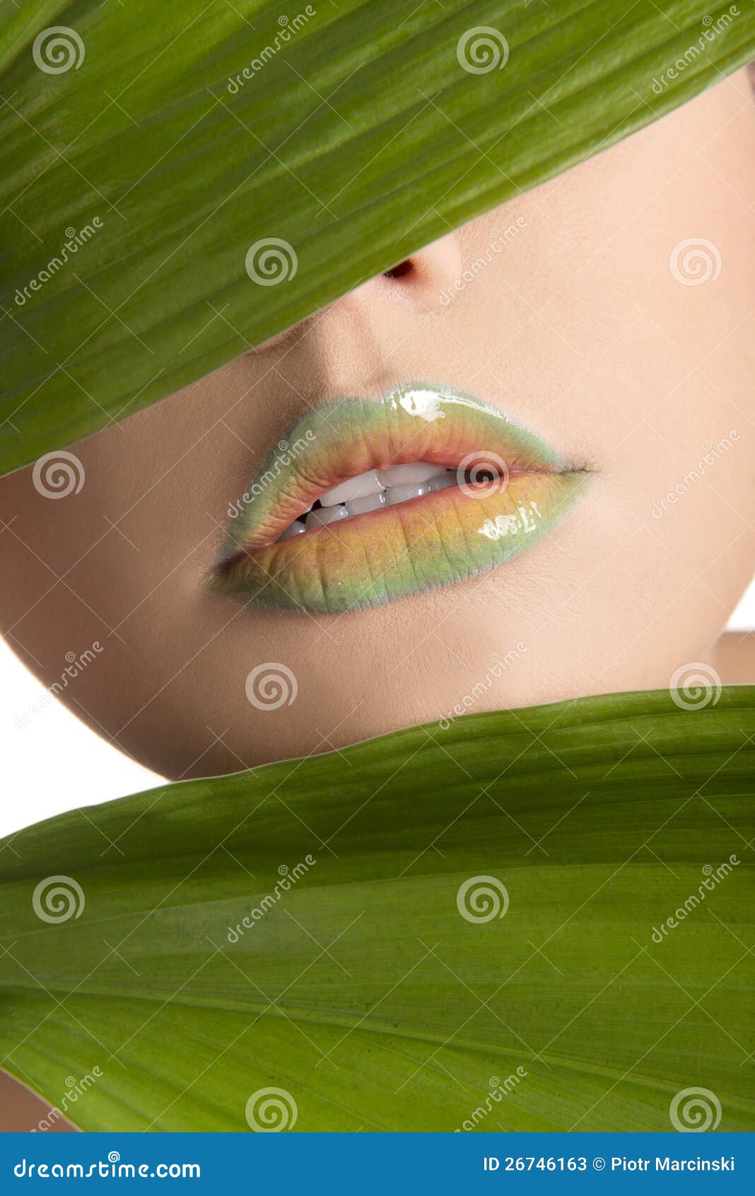 Woman s lips stock image. Image of face, girl, flower - 26746163