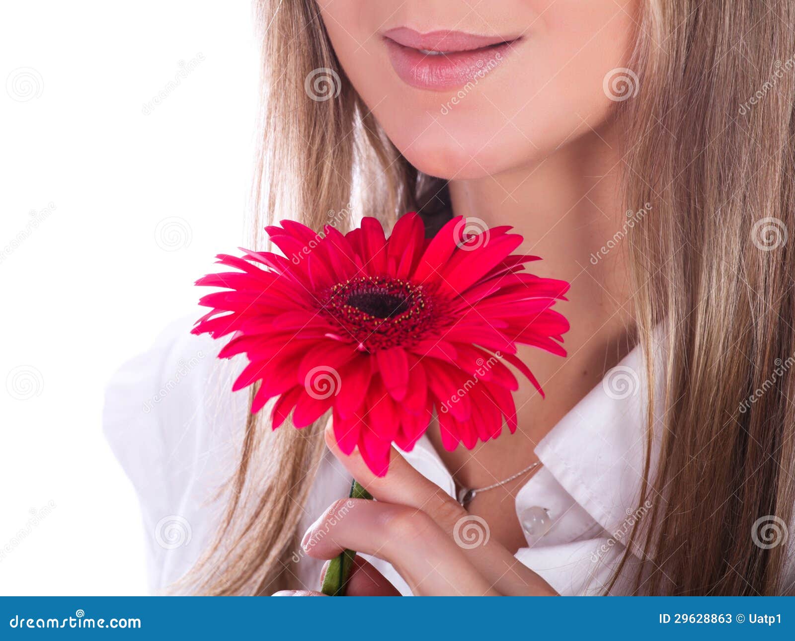 Woman S Lips and the Flower Stock Image - Image of person, young: 29628863