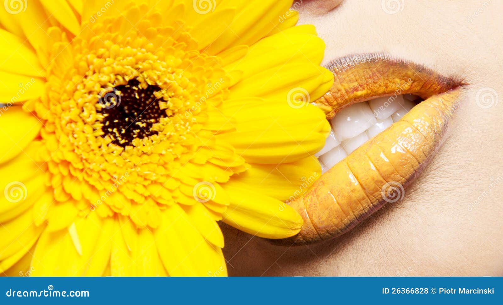 Woman S Lips with Yellow Flower Stock Photo - Image of face, luxury ...