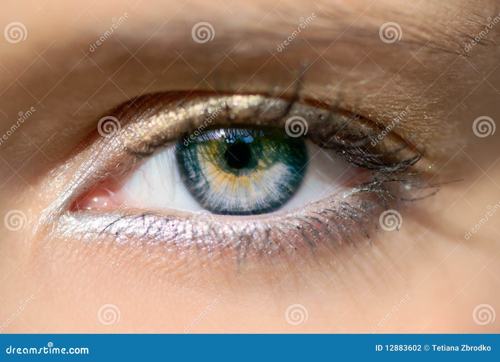 Woman`s open eye stock photo. Image of reflection, white - 12883602