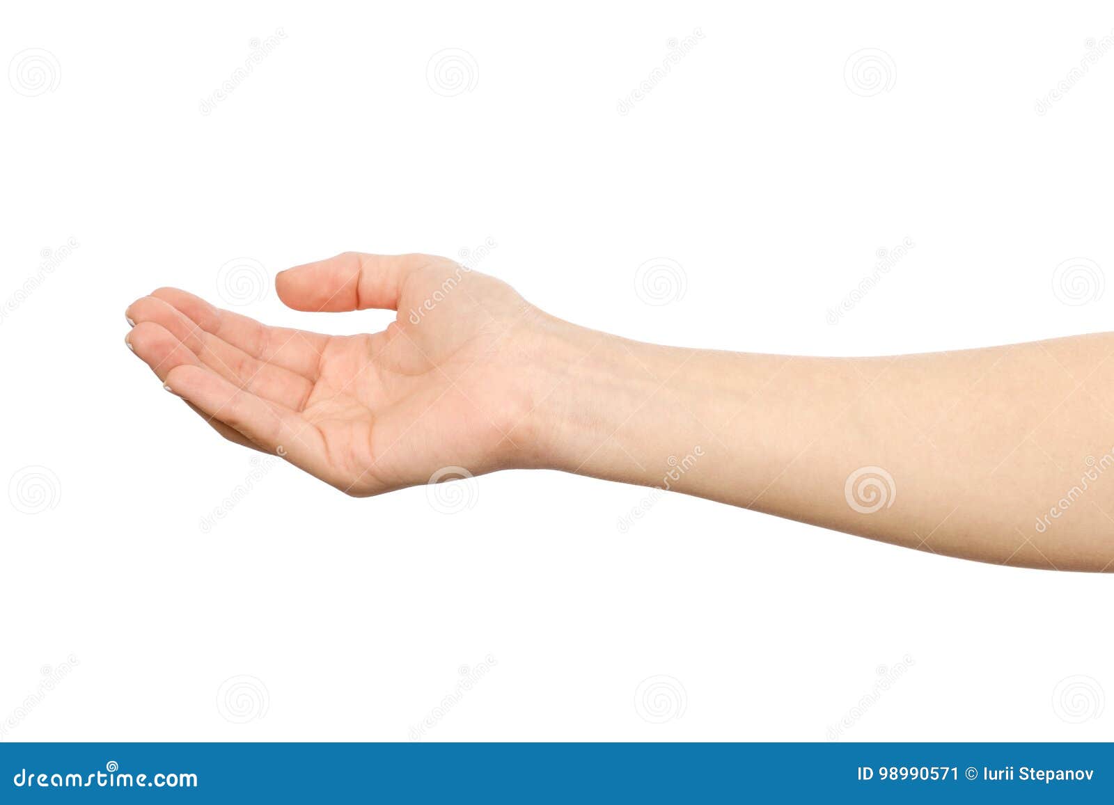 Woman`s Open Palm Isolated on White Stock Image - Image of nonverbal ...